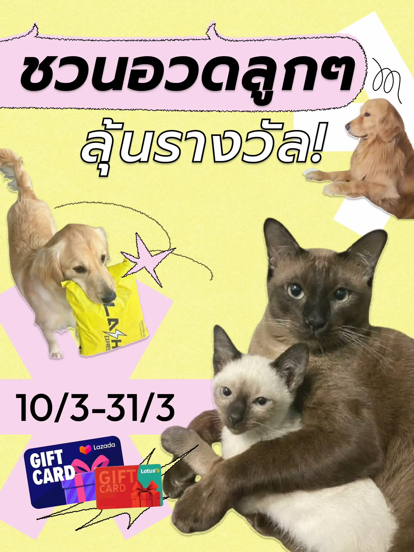 เปิดพื้นที่ให้อวดลูก😻👐🏼 ลุ้นรางวัลง่ายๆ | แกลเลอรีที่โพสต์โดย Lemon8 Pet | Lemon8