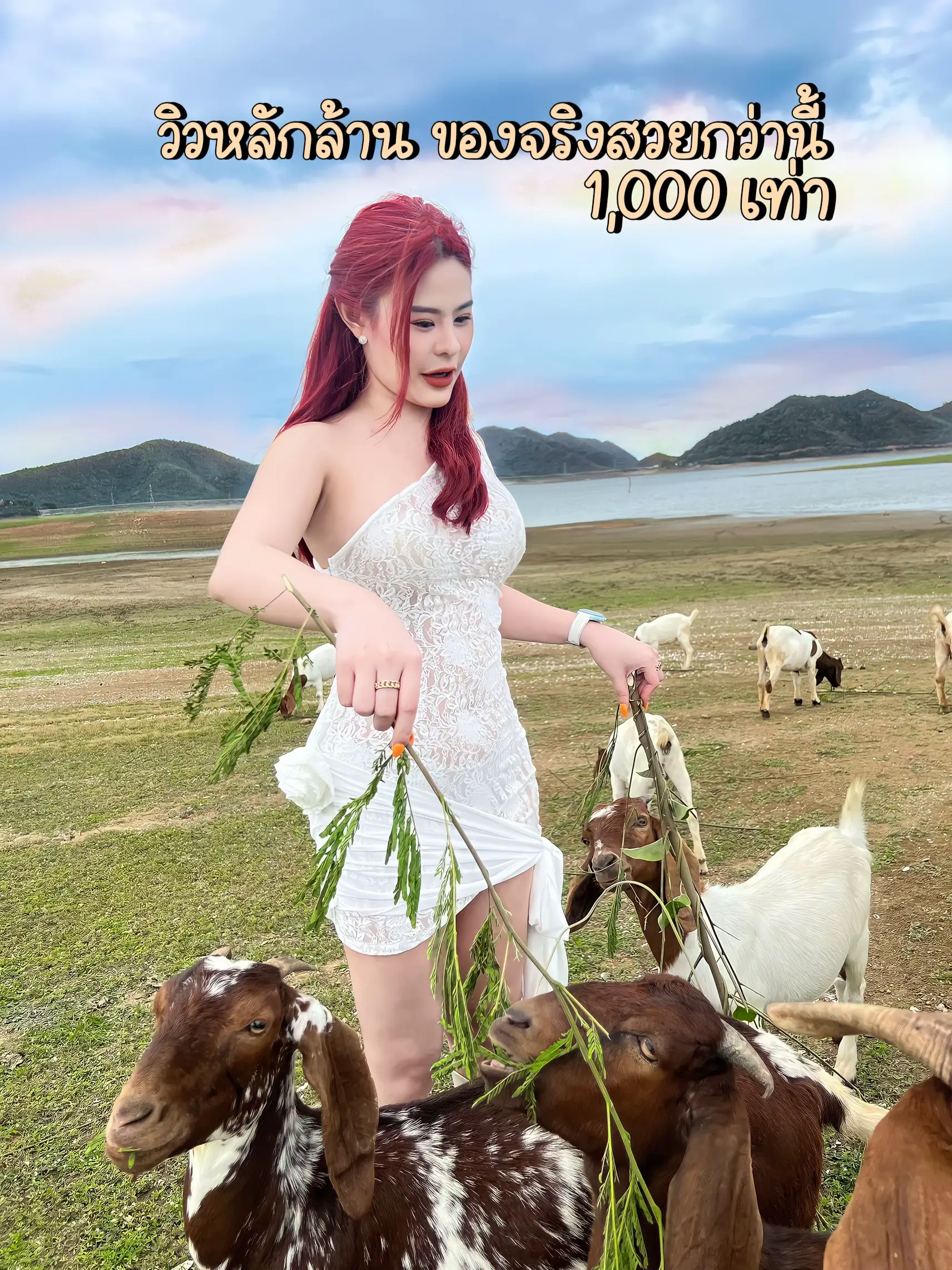 🇹🇭Huahin or swiss🇨🇭 | แกลเลอรีที่โพสต์โดย •ANT• PIYADA•94 | Lemon8