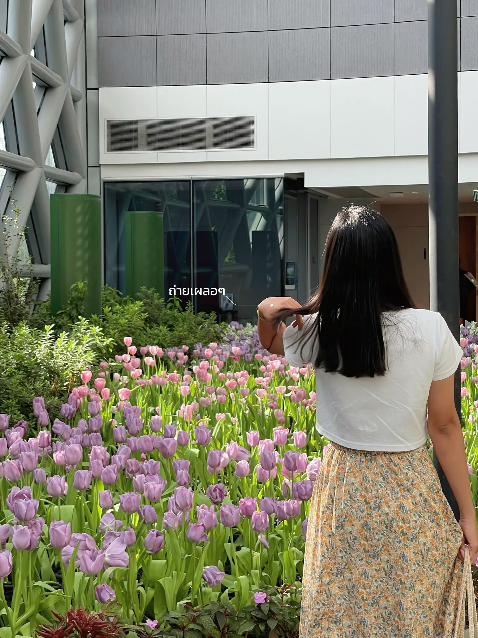 สวนดอกไม้เมืองหนาวระยอง 📸ถ่ายยังไงให้ดูไม่มีคน🌷 | แกลเลอรีที่โพสต์โดย zoroor.zone | Lemon8