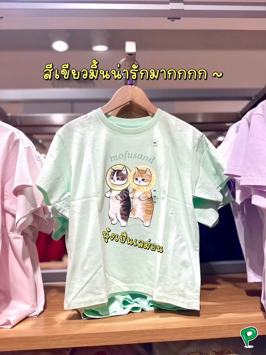 Nong Meow Slave Come Thatched Fast Uniqlo x Mofusan 🐱 | Gallery posted ...