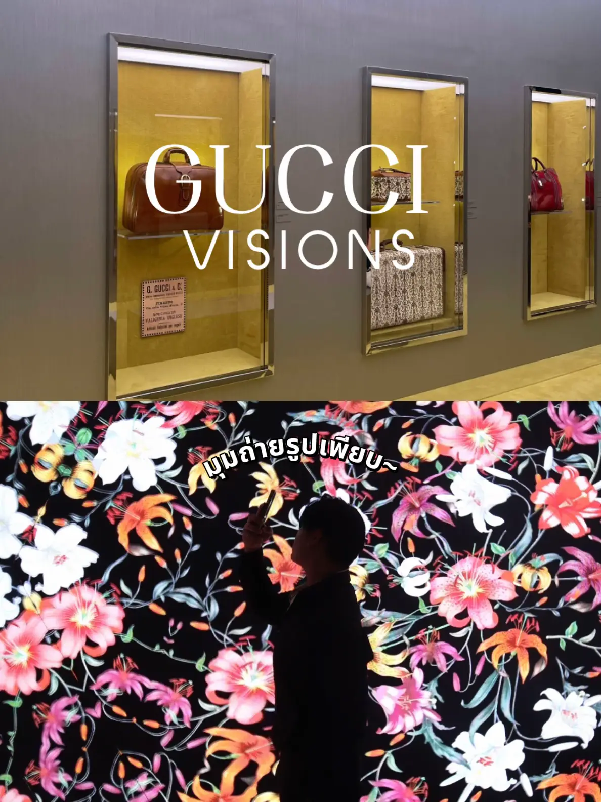 นิทรรศการ GUCCI VISIONS ครั้งแรกในอาเซียน[เข้าชมฟรี] | แกลเลอรีที่โพสต์ ...