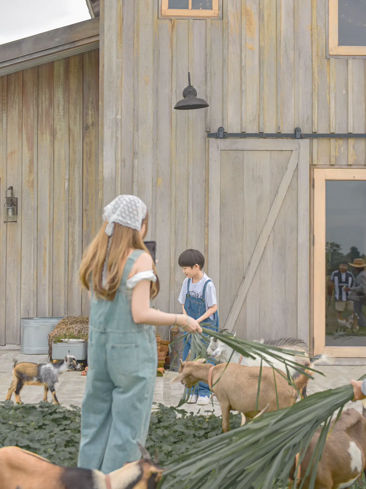 20 ไอเดียยอดนิยมเกี่ยวกับ The Treat Farm Hotel ในปี 2024