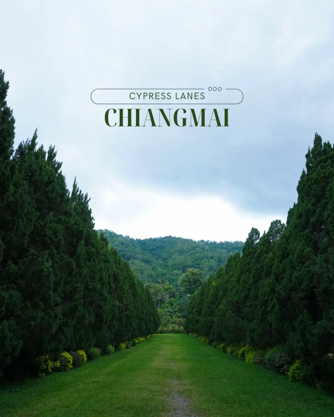 Cypress lanes คาเฟ่กลางหุบเขา ดื่มด่ำธรรมชาติ ที่เชียงใหม่ | แกลเลอรีที่โพสต์โดย Fonnii | Lemon8
