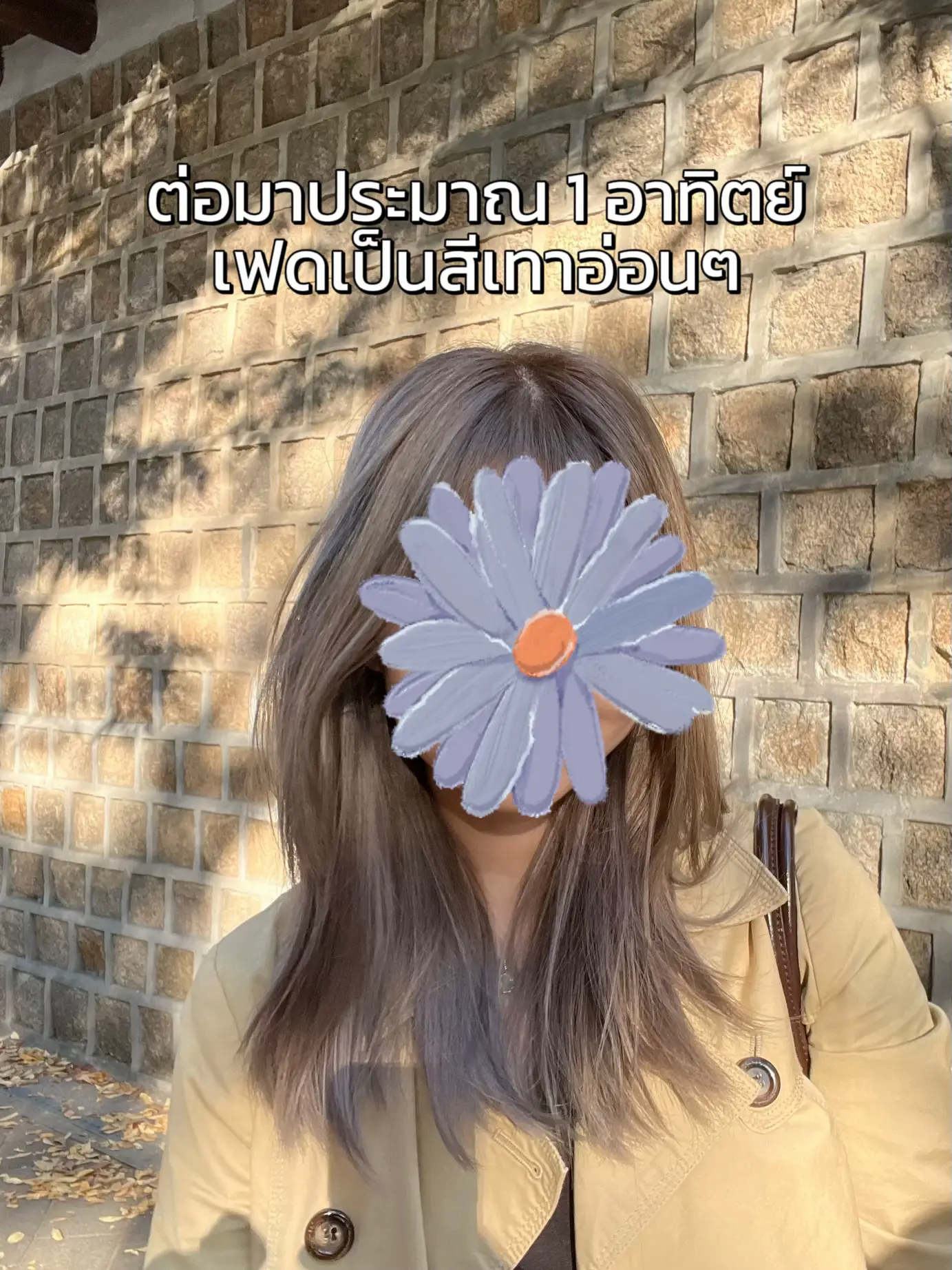 รีวิว โฟมย้อมผม Liese cool ash🩶 | แกลเลอรีที่โพสต์โดย Happ.pw | Lemon8