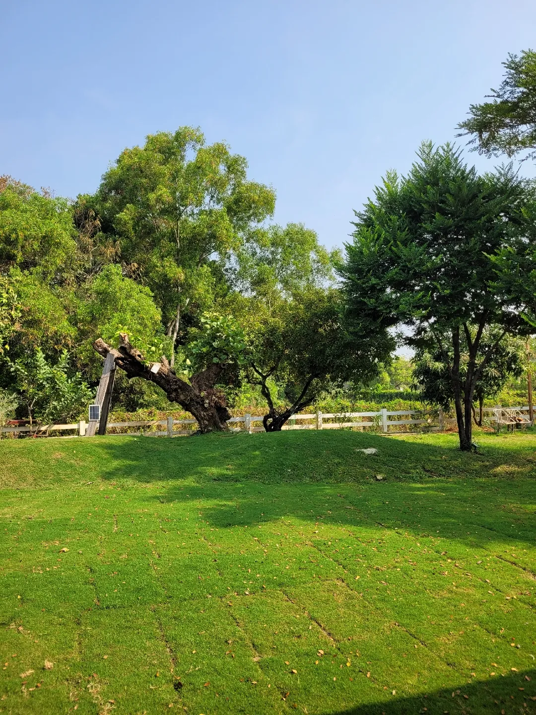 คาเฟ่ Park Ta-Ne' จ.ปทุมธานี คลองสี่ | แกลเลอรีที่โพสต์โดย Pun_punpapha ...