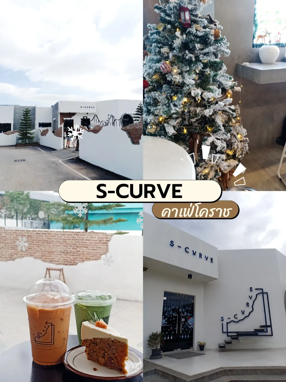 Your Curev - การค้นหาใน Lemon8