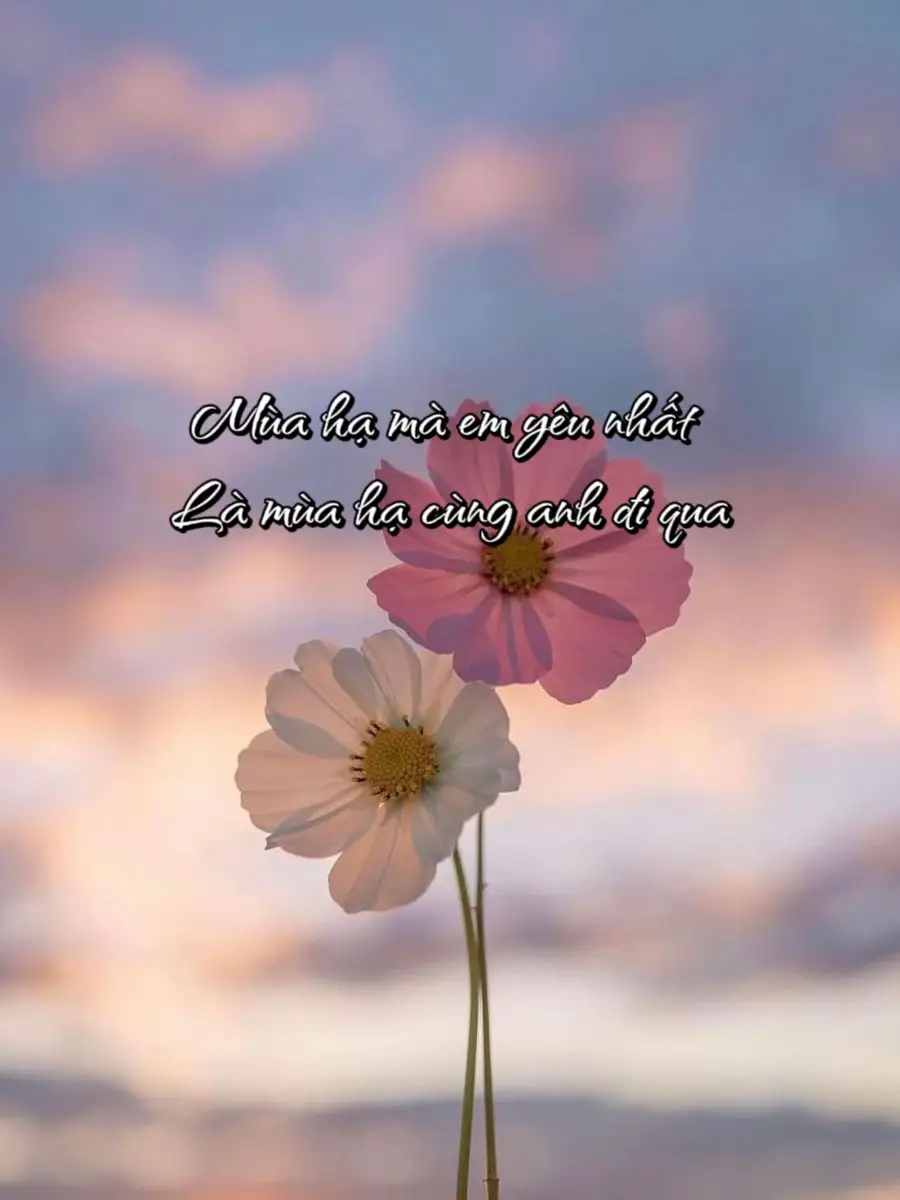 [Hanoi] Artemis Pastry - Bánh ngon nức nở | Bộ sưu tập do Nu Yang đăng | Lemon8