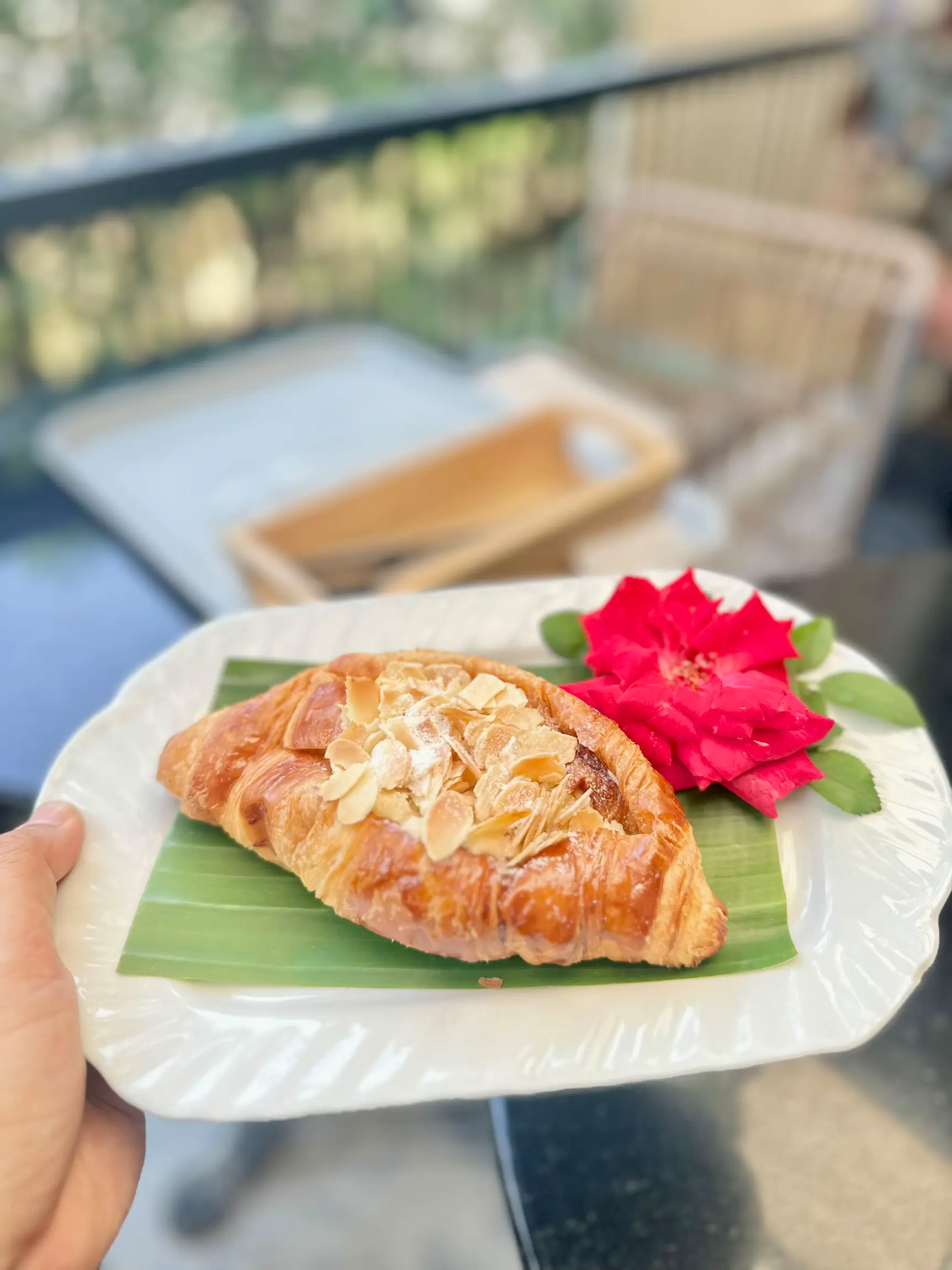 ไร่ป้าแมว คาเฟ่ RAI-PA-MAEW CAFE 🌸 | แกลเลอรีที่โพสต์โดย Emmieesuni ...