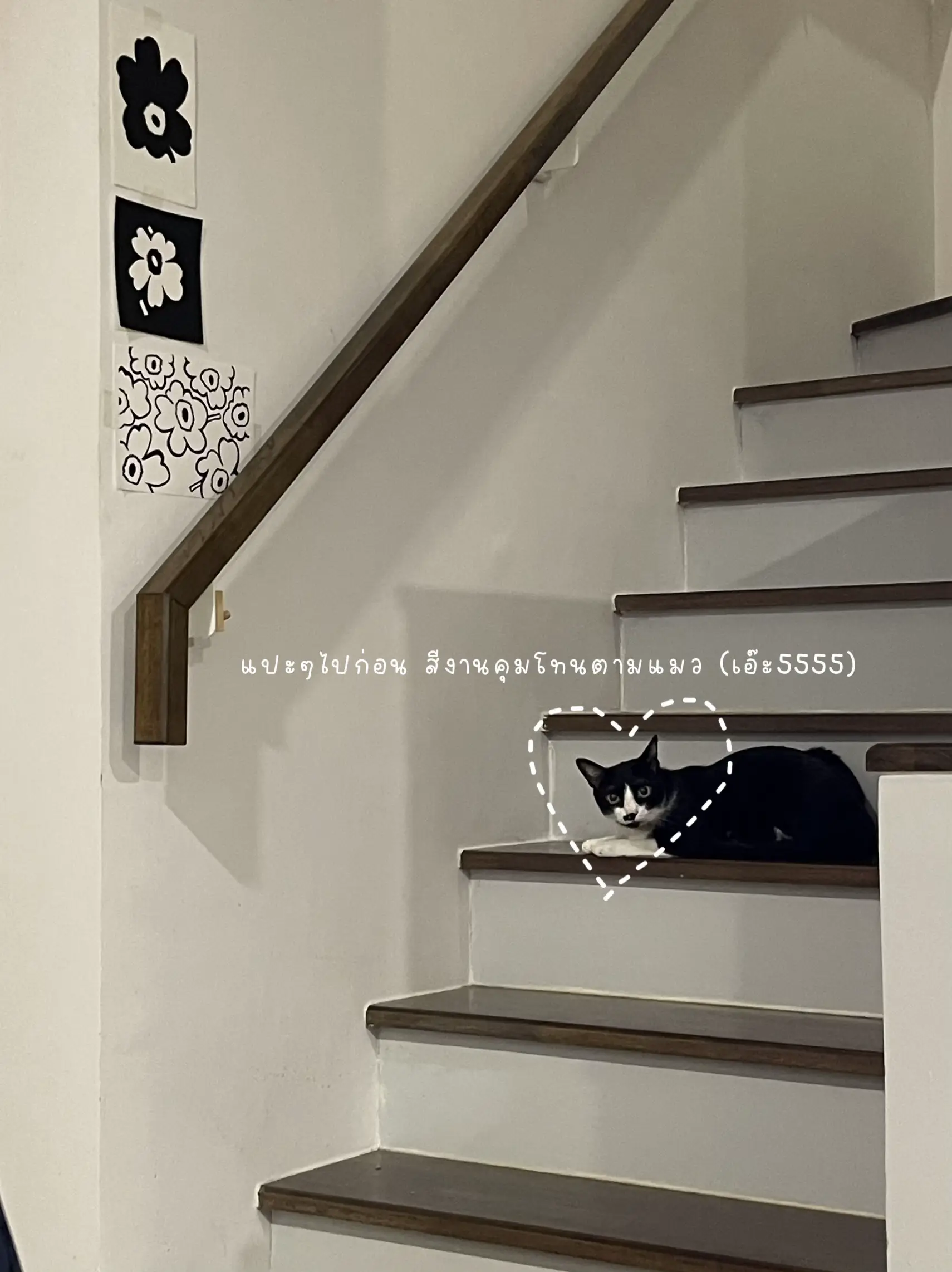 วาดรูปแต่งบ้าน ดอก unikko~Marimekko EP.2 | แกลเลอรีที่โพสต์โดย Maeban_muji | Lemon8