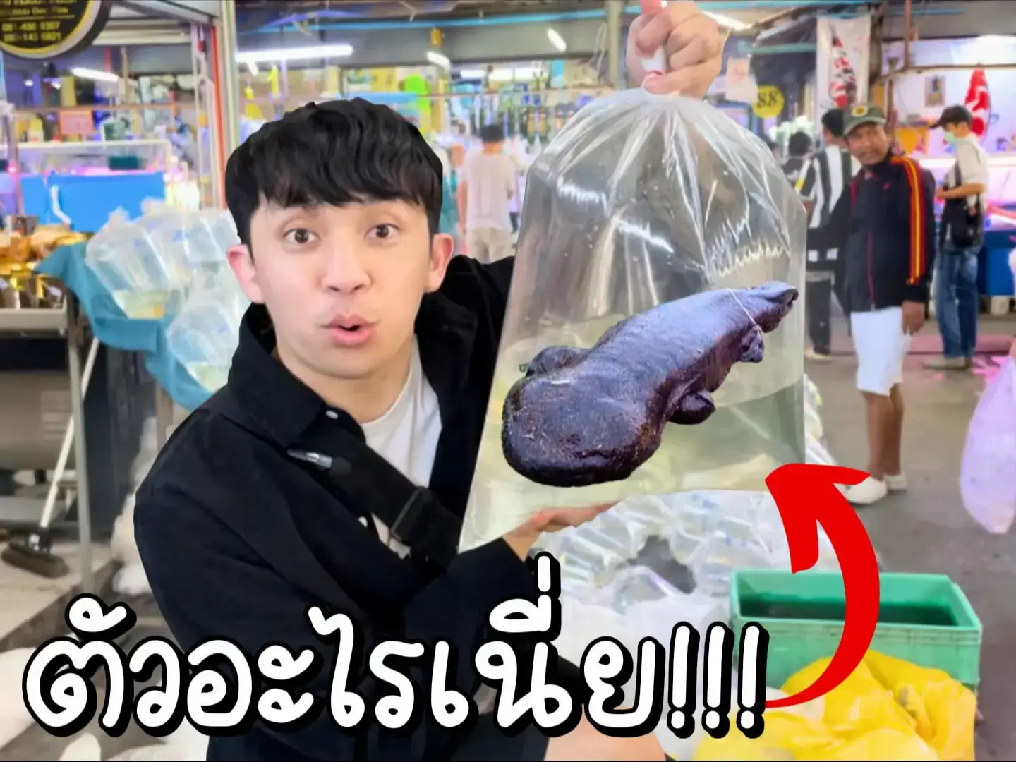 สัตว์ประหลาดในจตุจักรวันพุธ | แกลเลอรีที่โพสต์โดย Wk channel | Lemon8