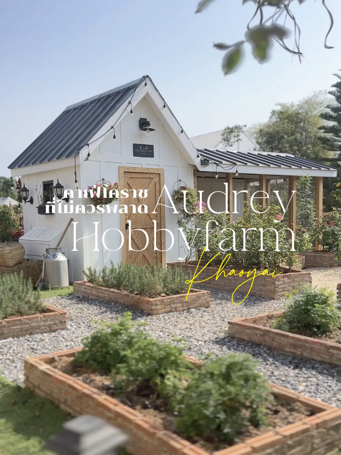 Audrey hobby farm สวยจริงไหม 💖💐 | แกลเลอรีที่โพสต์โดย Looknut story | Lemon8