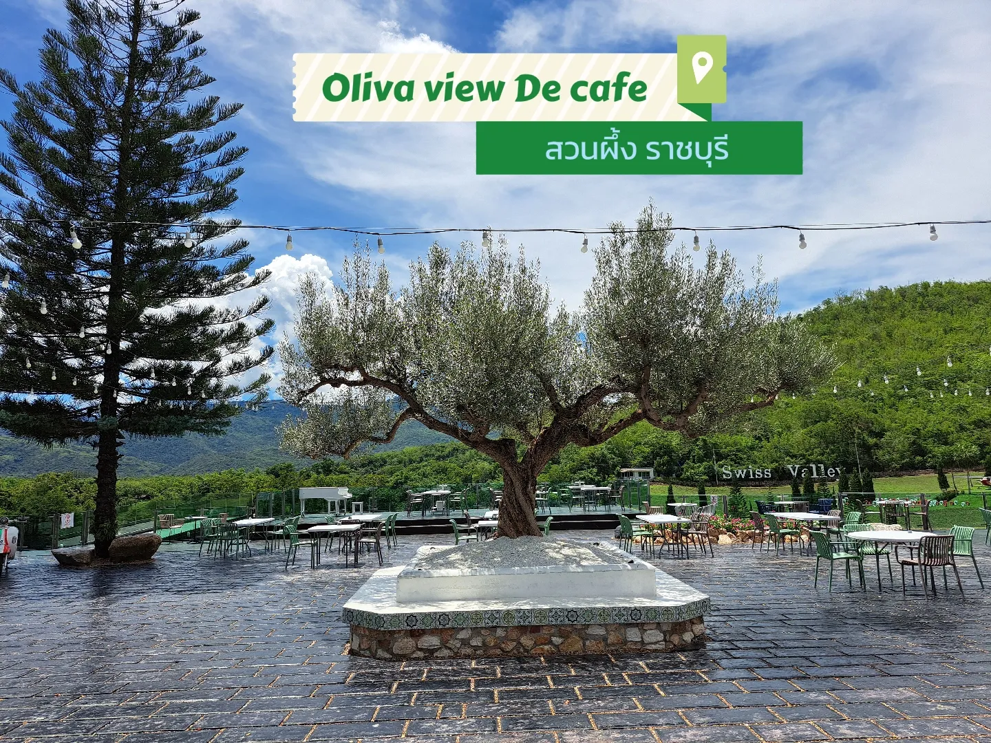 Oliva view De cafe | แกลเลอรีที่โพสต์โดย Nu Pim | Lemon8