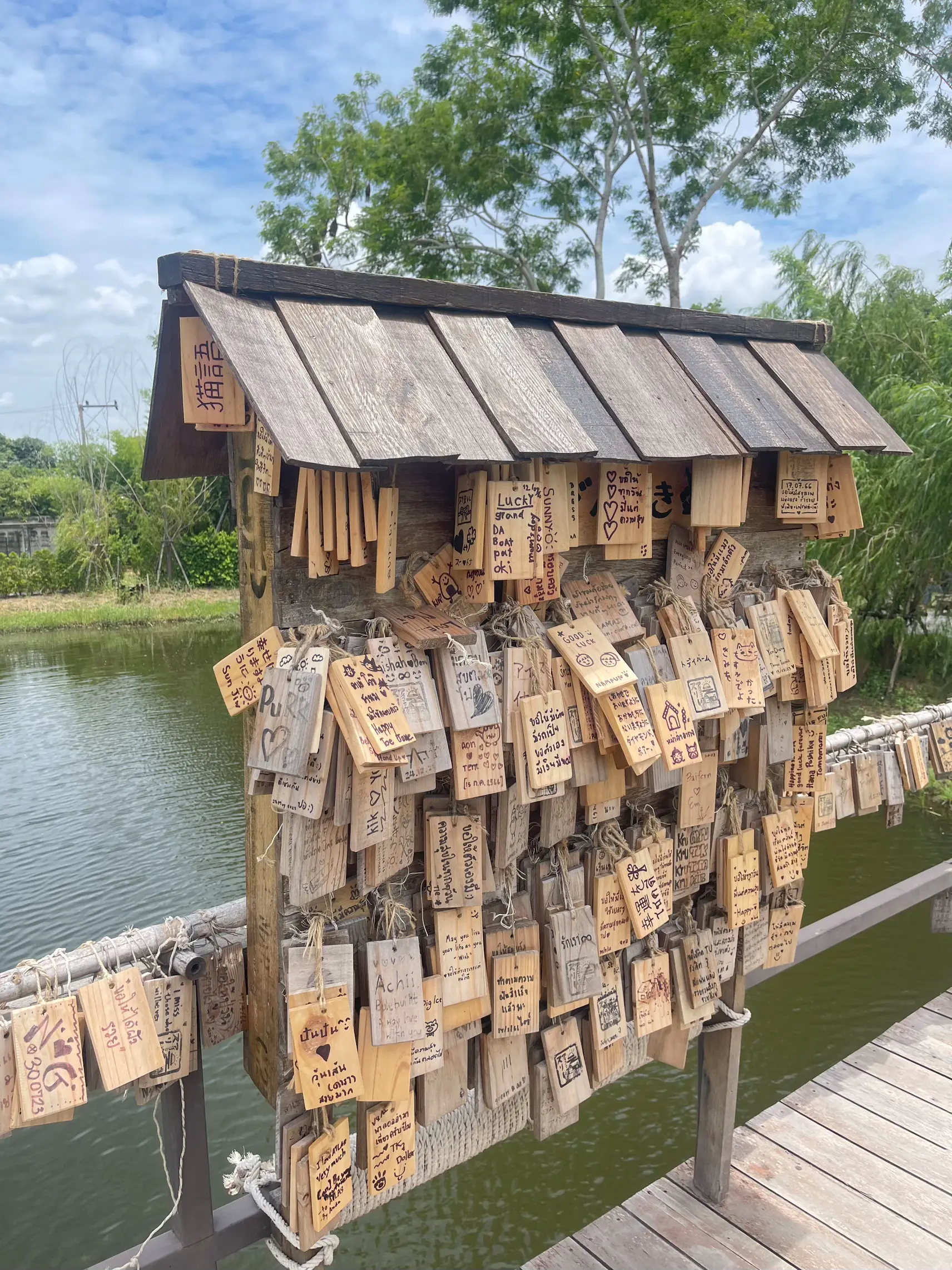 คาเฟ่พาสัตว์เข้าได้ปทุมธานี - การค้นหาใน Lemon8