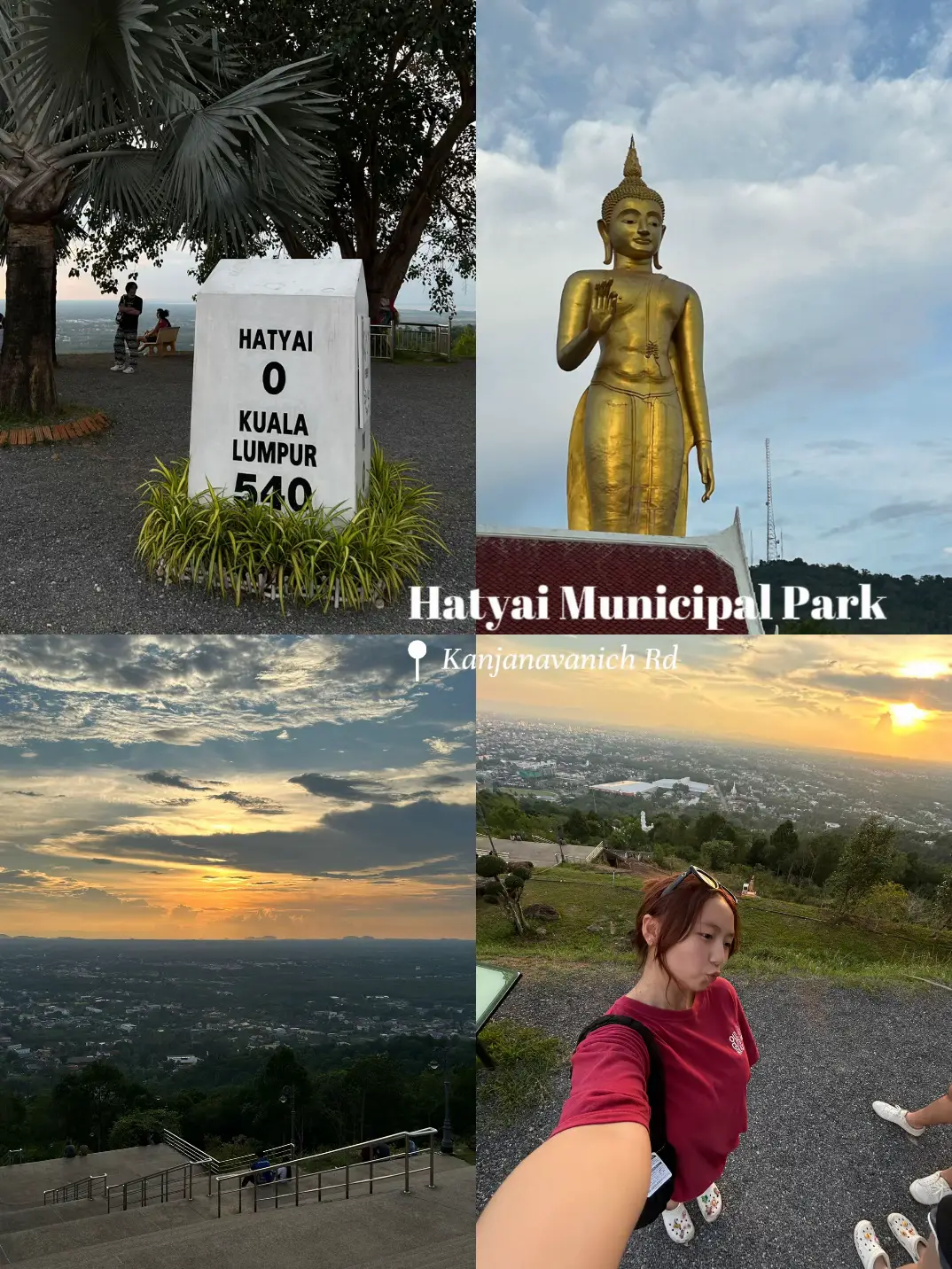 20 top hatyai zebra ideas in 2024