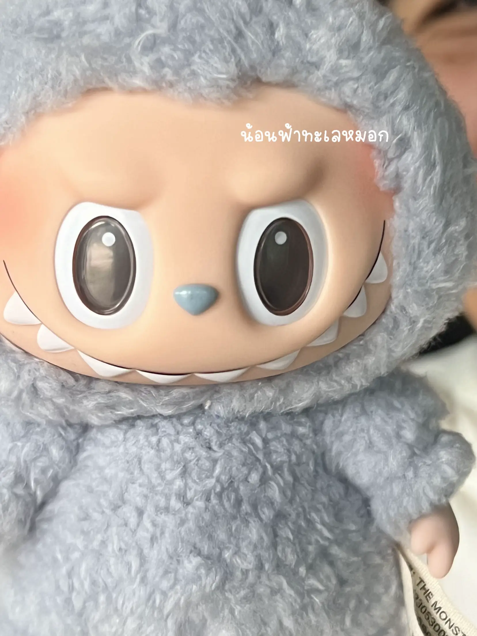 รีวิว น้อน Labubu V.1 ของขวัญวันเกิดชิ้นเเรก | แกลเลอรีที่โพสต์โดย ...