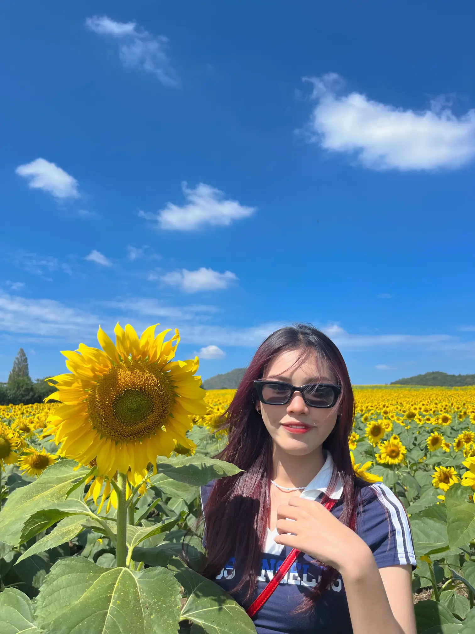 ฉบับทริปท่องเที่ยว | แกลเลอรีที่โพสต์โดย 𝚃𝚐 | Lemon8