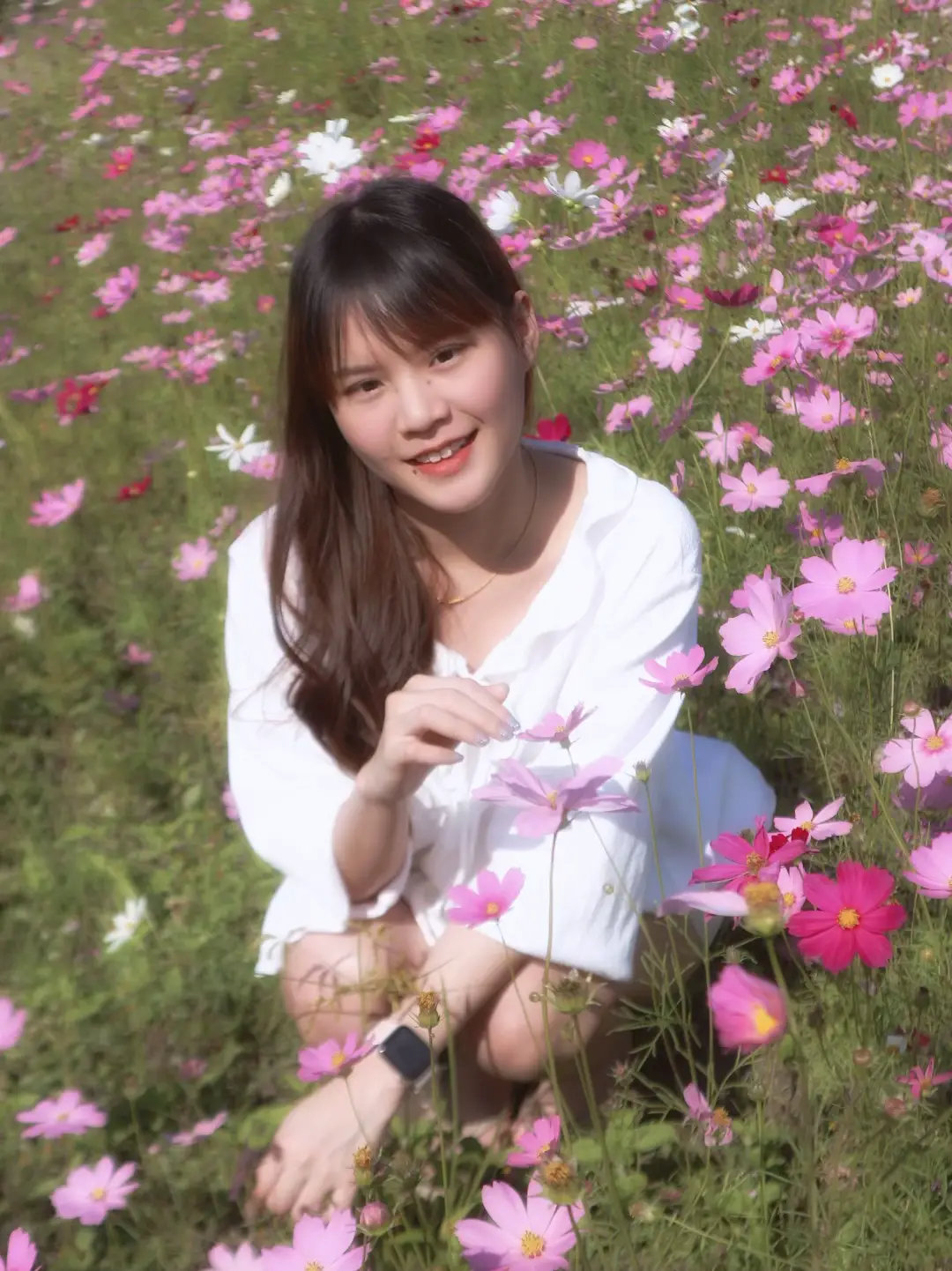 สวนคอสมอสละมุนนีสุบๆค้าบบ 🌸☁️🫶🏻 | แกลเลอรีที่โพสต์โดย Miu Miu | Lemon8