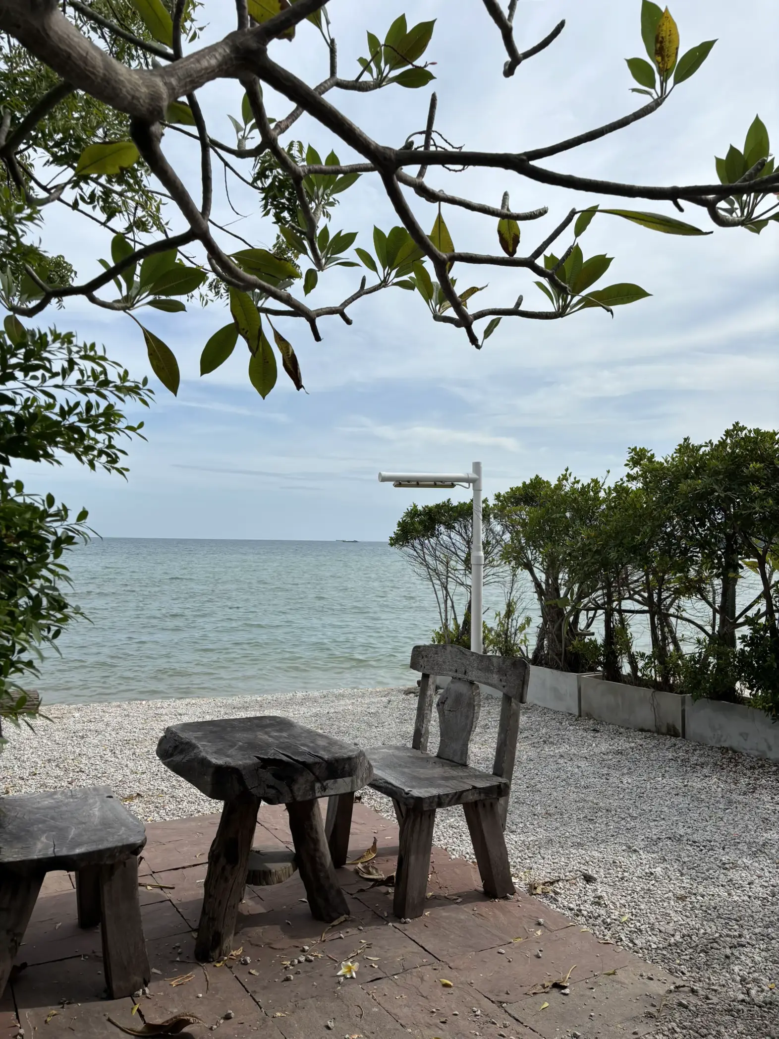 SATTAHIP ที่พักแสมสาร ราคาหลักพัน วิวหลักล้าน | แกลเลอรีที่โพสต์โดย Its.earthhh | Lemon8