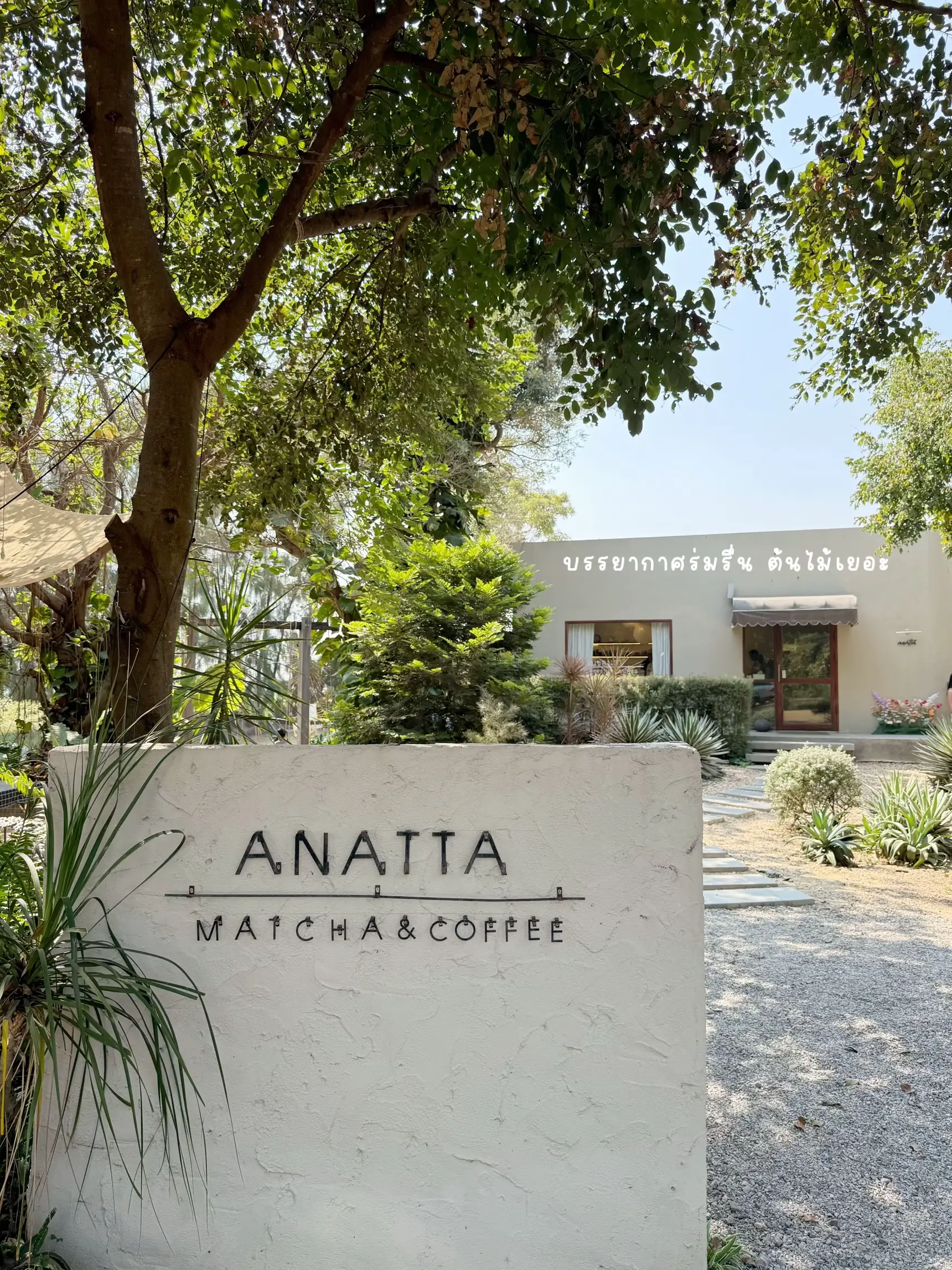 Anatta Matcha & Coffee คาเฟ่ชัยนาท มัทฉะเลิฟเวอร์🍵💚 | แกลเลอรีที่โพสต์ ...