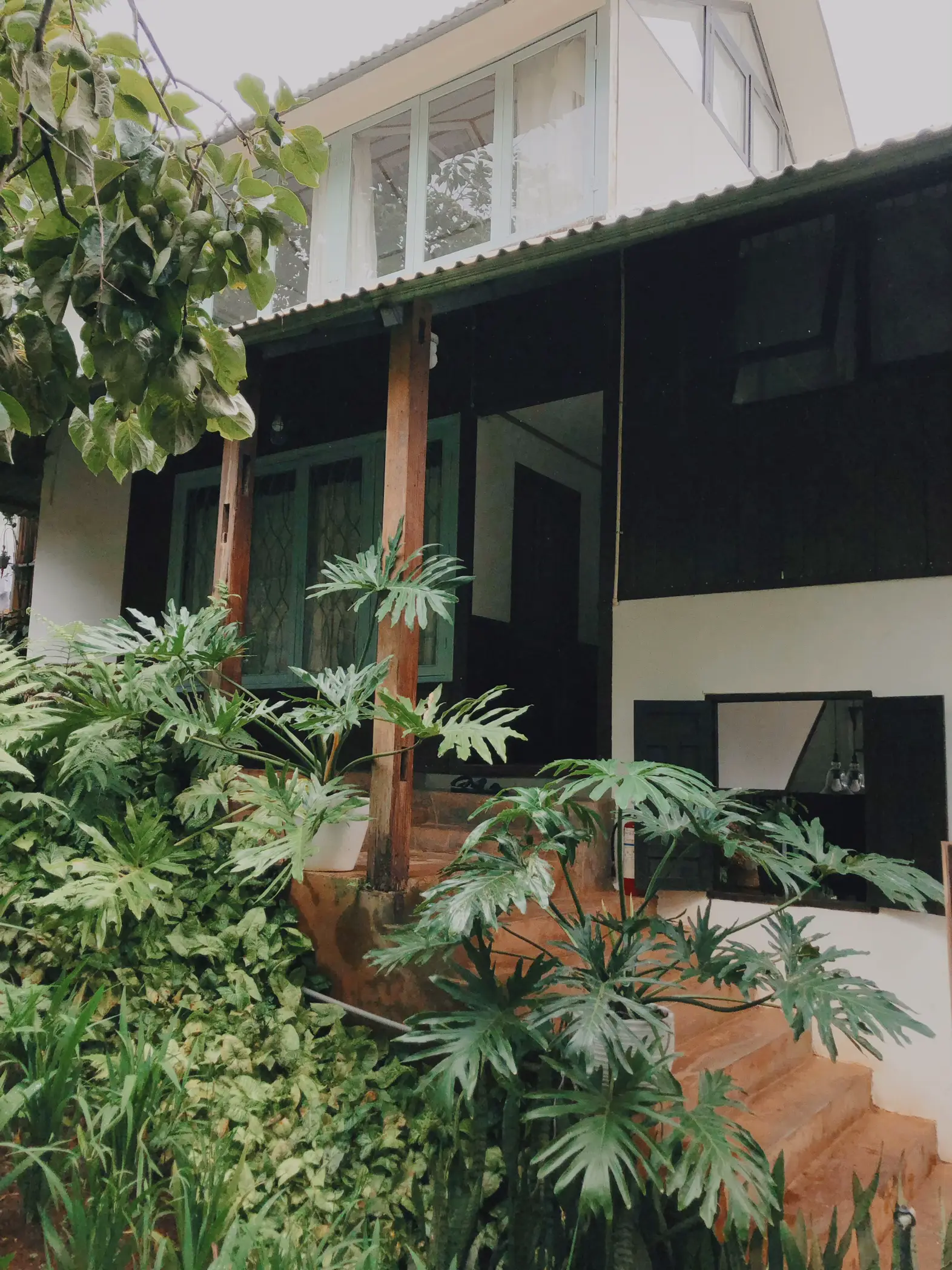 RỪNG NHIỆT ĐỚI | DALAT | Bộ sưu tập do Nga La Cà đăng | Lemon8