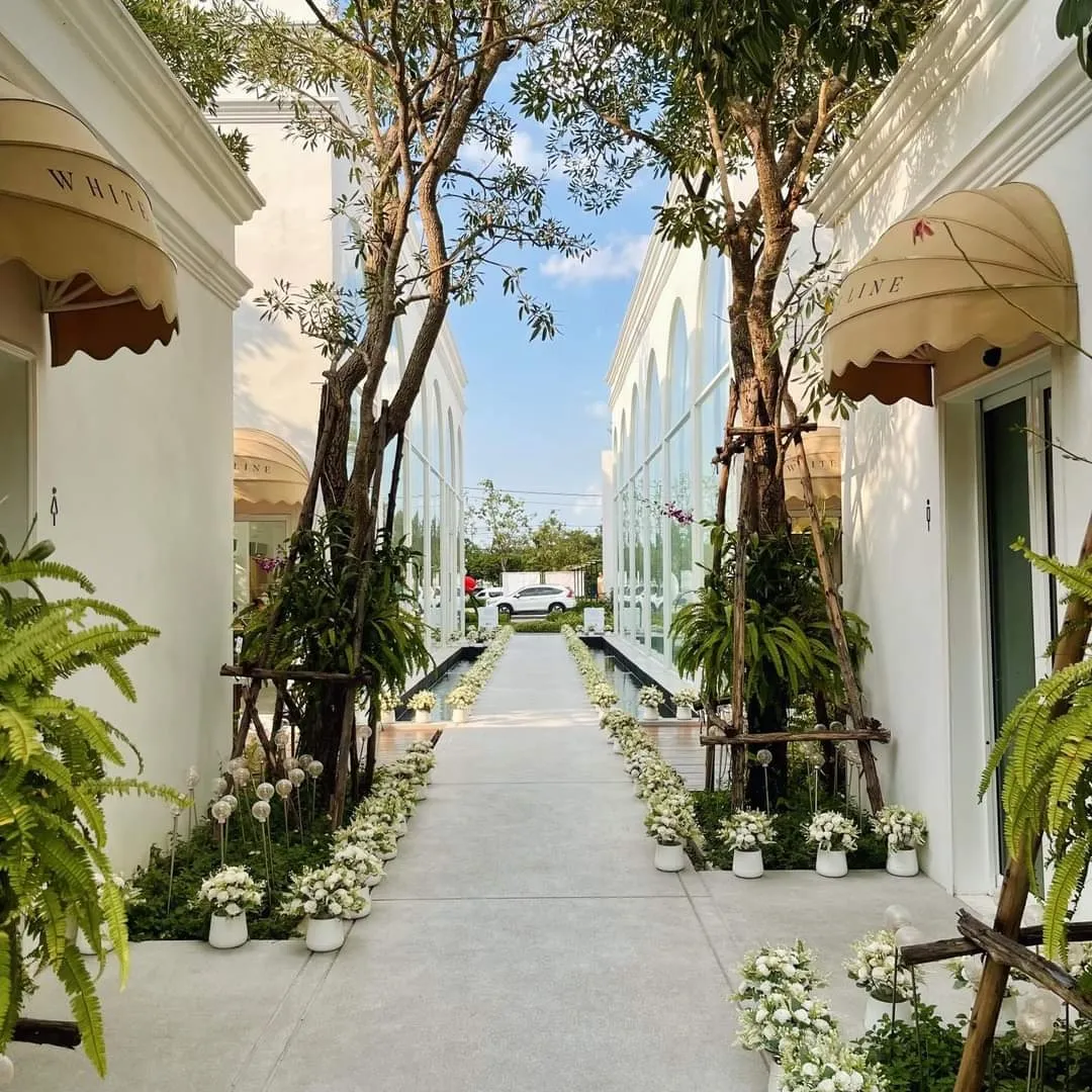 Whiteline cafe | แกลเลอรีที่โพสต์โดย madam.soji | Lemon8