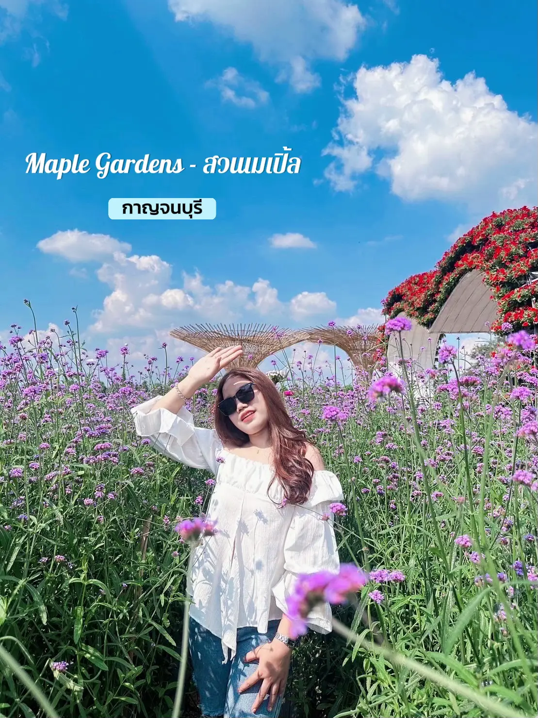 Maple Gardens - สวนเมเปิ้ล | แกลเลอรีที่โพสต์โดย Khunwhanlers | Lemon8