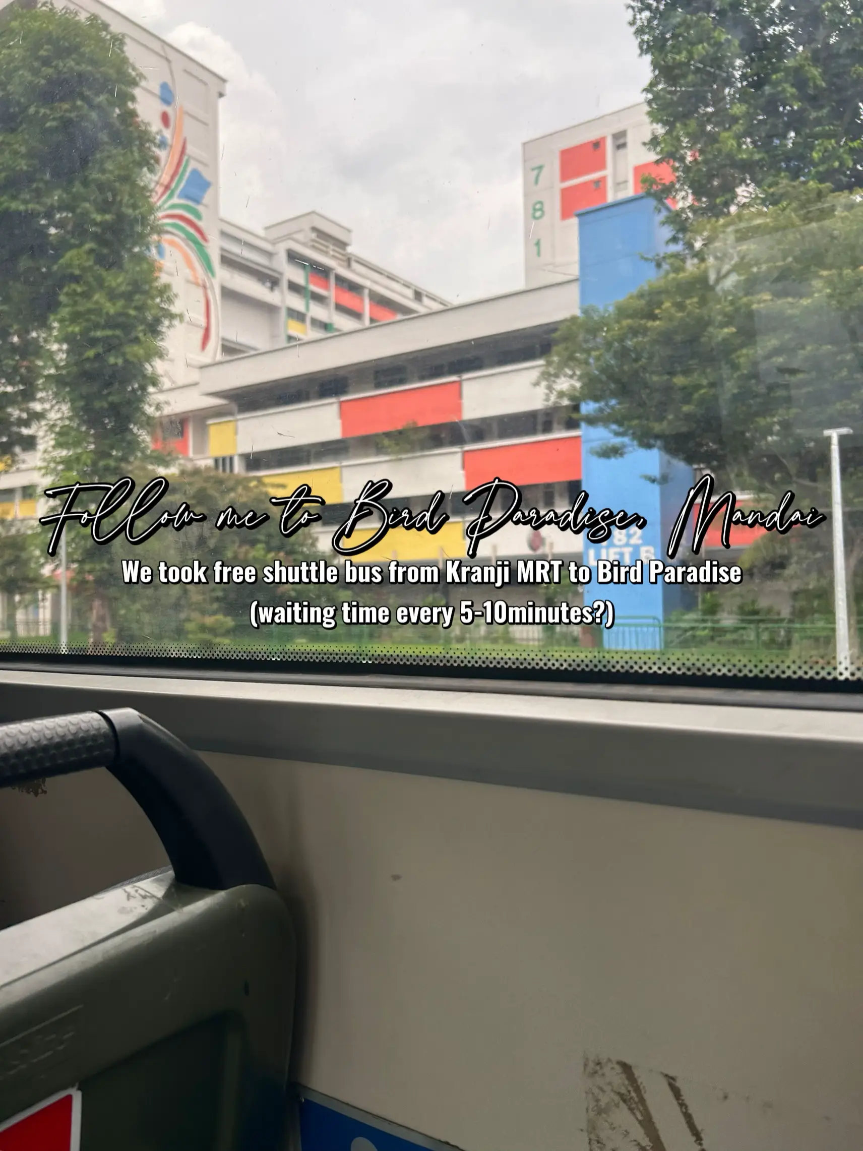 Follow me to Bird Paradise, Mandai | Gallery posted by luvaababy_ | Lemon8