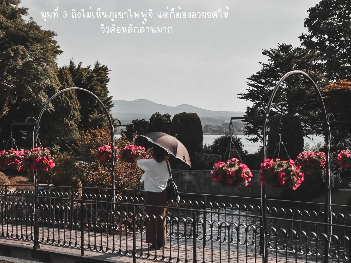 📸 มุมถ่ายรูป Fuji kawaguchiko 🗻🌸 | แกลเลอรีที่โพสต์โดย KA-TAENG | Lemon8