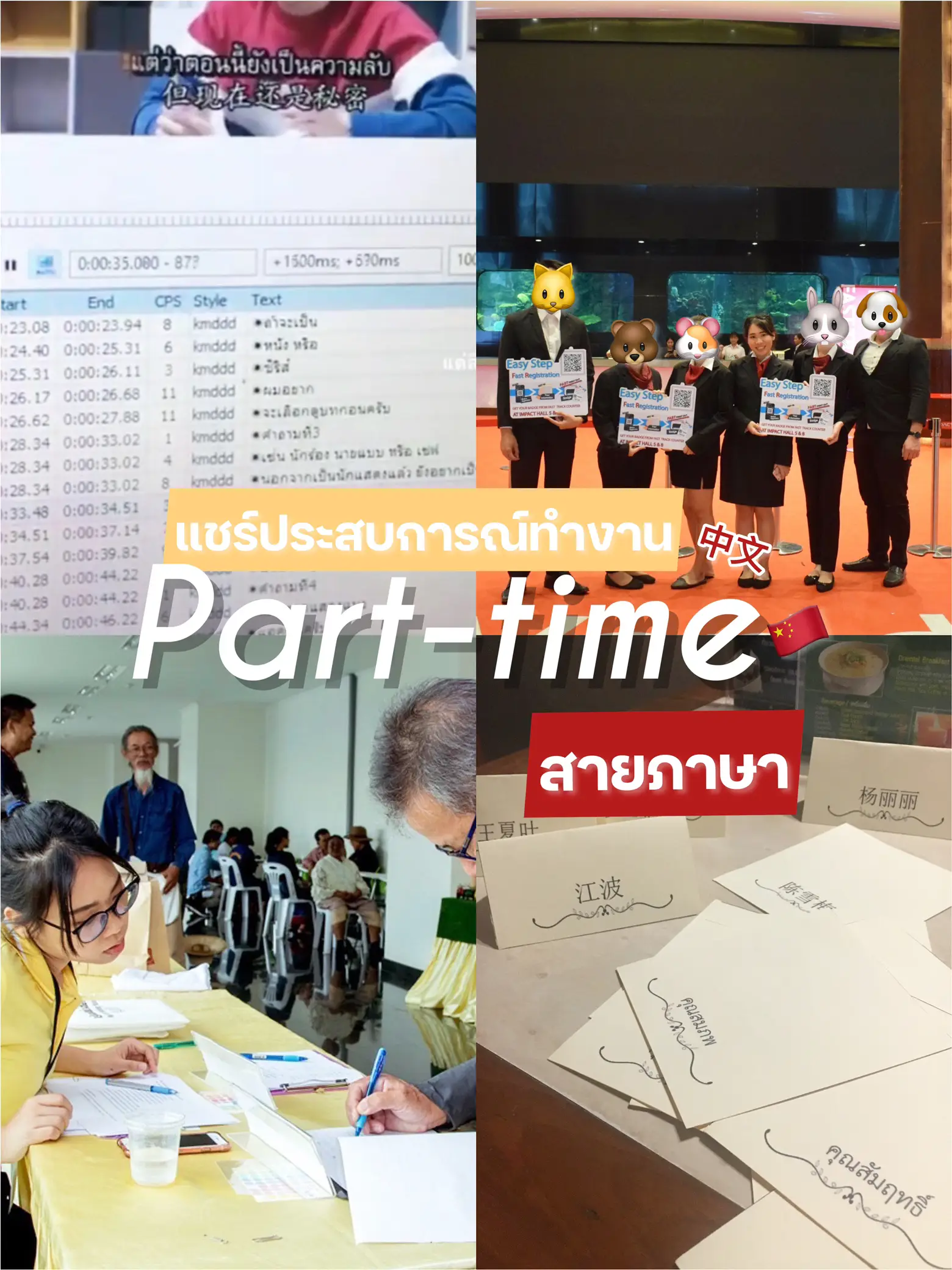 ทำงาน Part-Time สายภาษา มีรายได้ตั้งแต่ยังเรียนไม่จบ 💫🇨🇳 | แกลเลอรีที่โพสต์โดย xiaolifav. 🫶🏻 ...