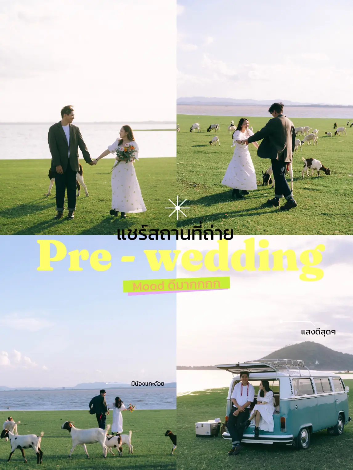 Pre - Wedding Select Preweddings at Lop Buri | Gallery posted by Minmintbb | Lemon8