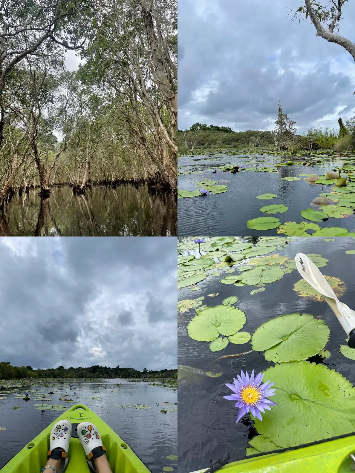 Unseen Thailand one day can travel. "Millennial Forest." 🌿🚣🏻‍♂️ | Gallery posted by np :•) | Lemon8