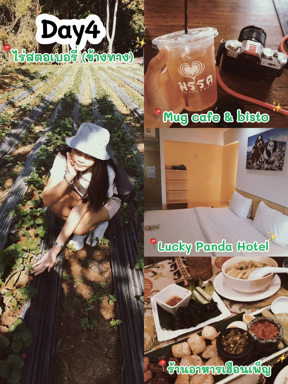 ขับมอ ไซต์ เที่ยวเชียงใหม่ 5วัน 4คืน | แกลเลอรีที่โพสต์โดย Opoo Pu | Lemon8