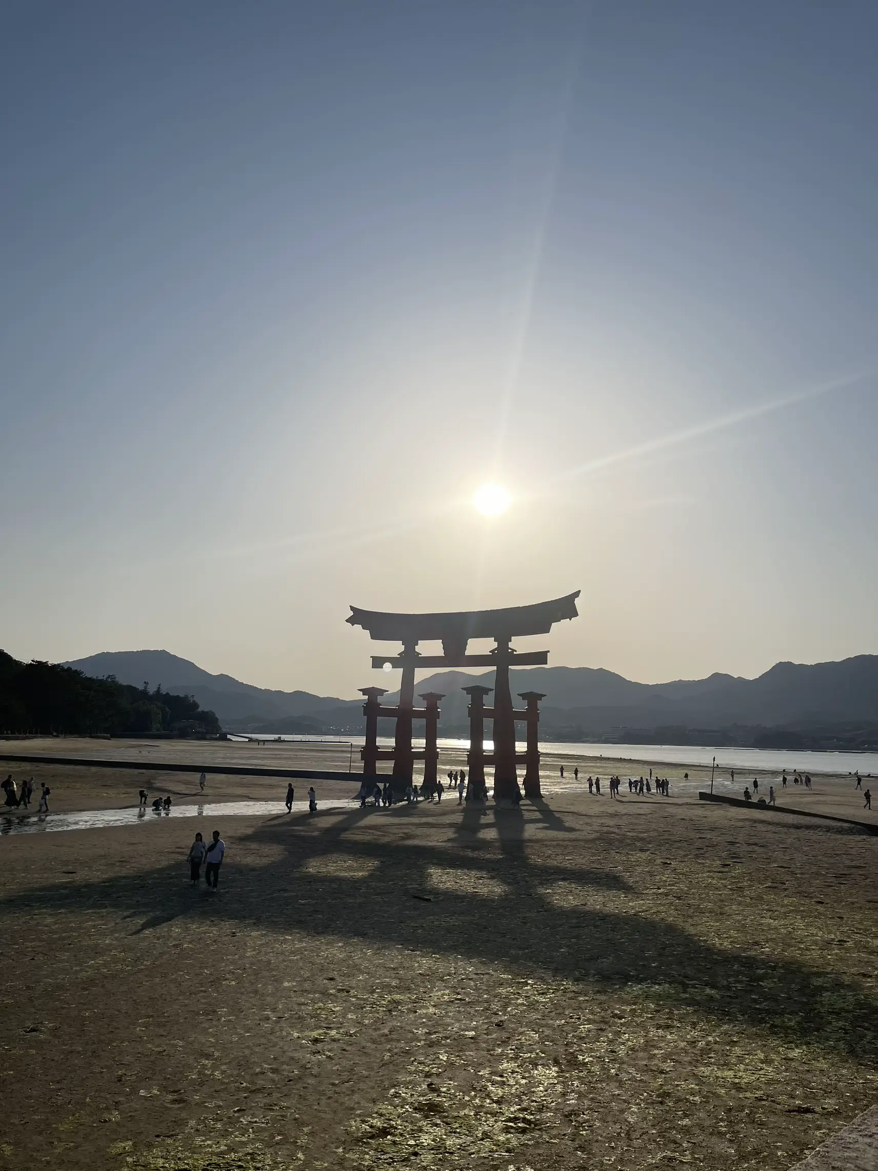เสาโทริอิ เสาเดียวที่ลอยอยู่กลางน้ำ(Itsukushima Shrine) | แกลเลอรีที่ ...