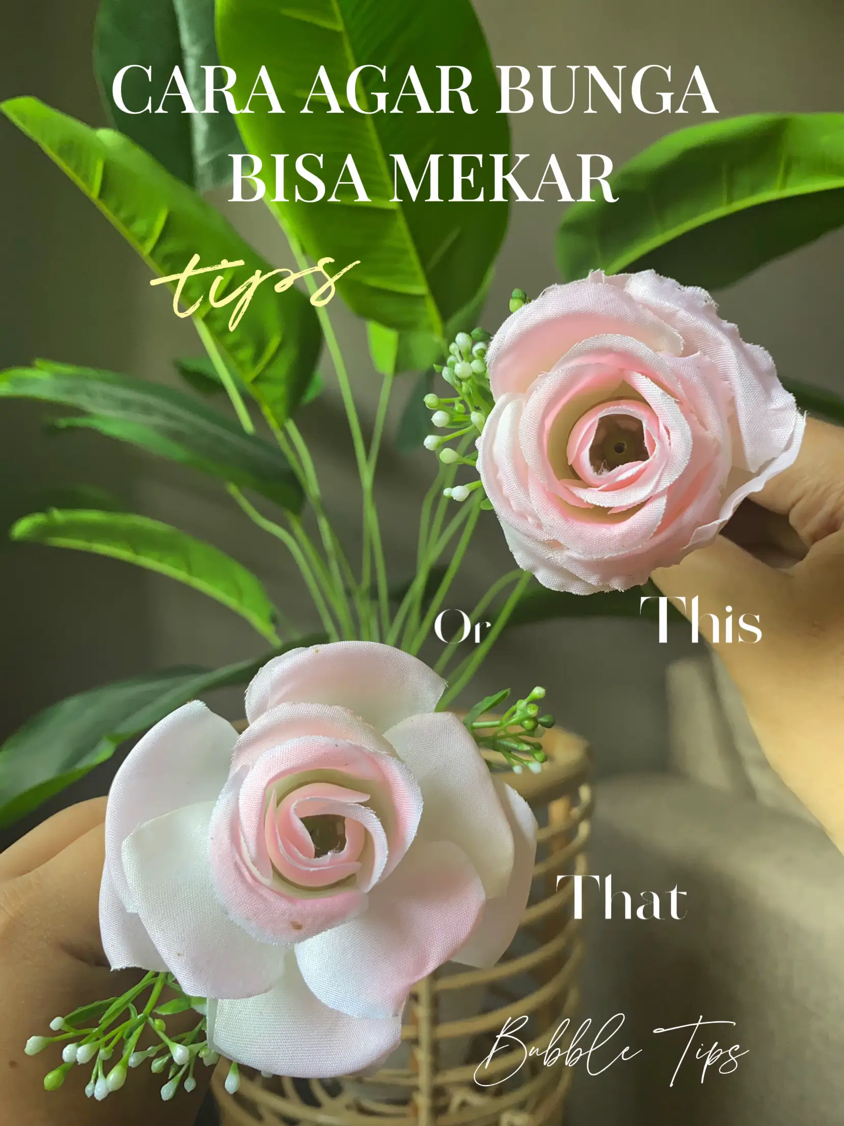 Bunga Artificial bisa mekar | Galeri disiarkan oleh Bubble Bouquet | Lemon8