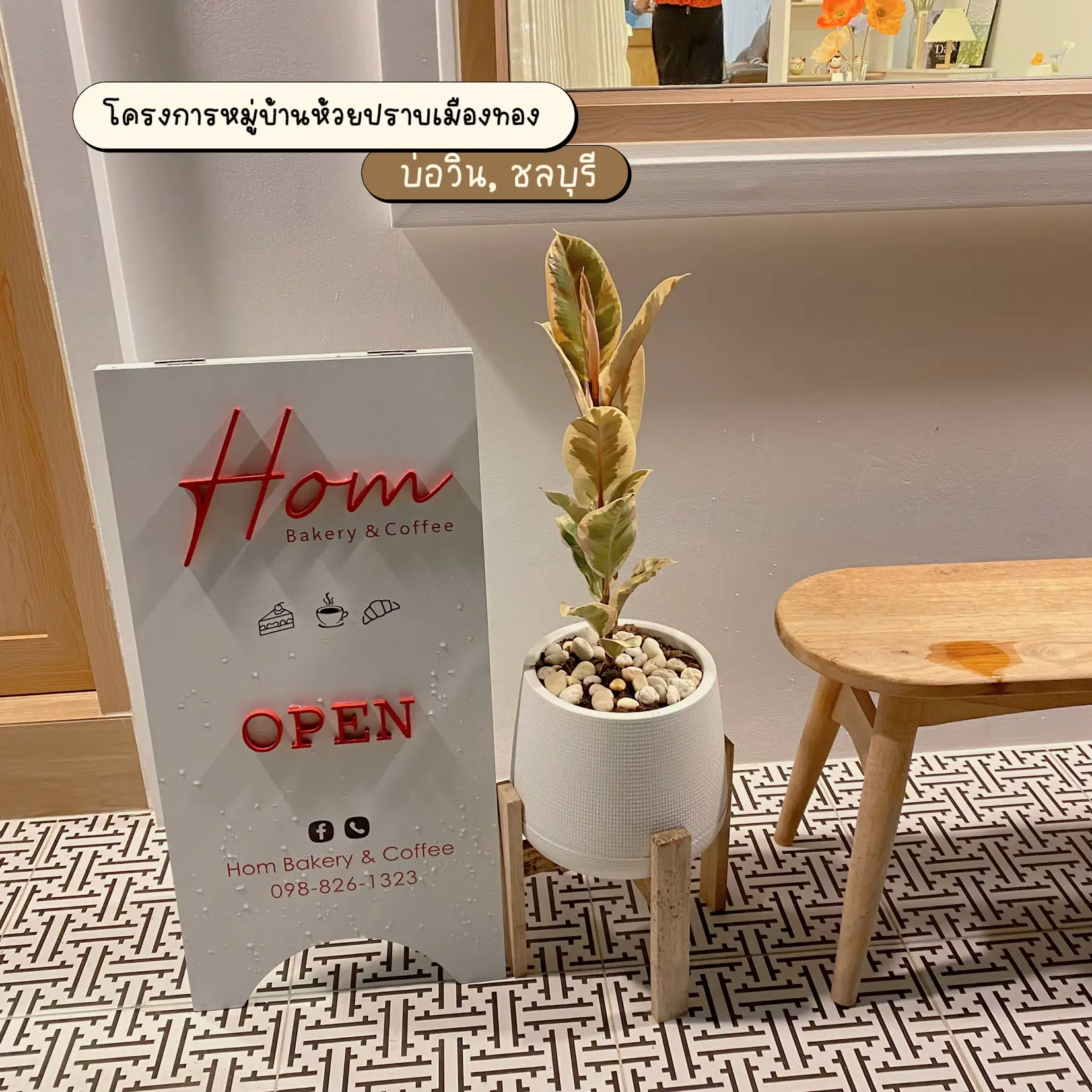 Homecafe ชาอัญชัน - การค้นหาใน Lemon8