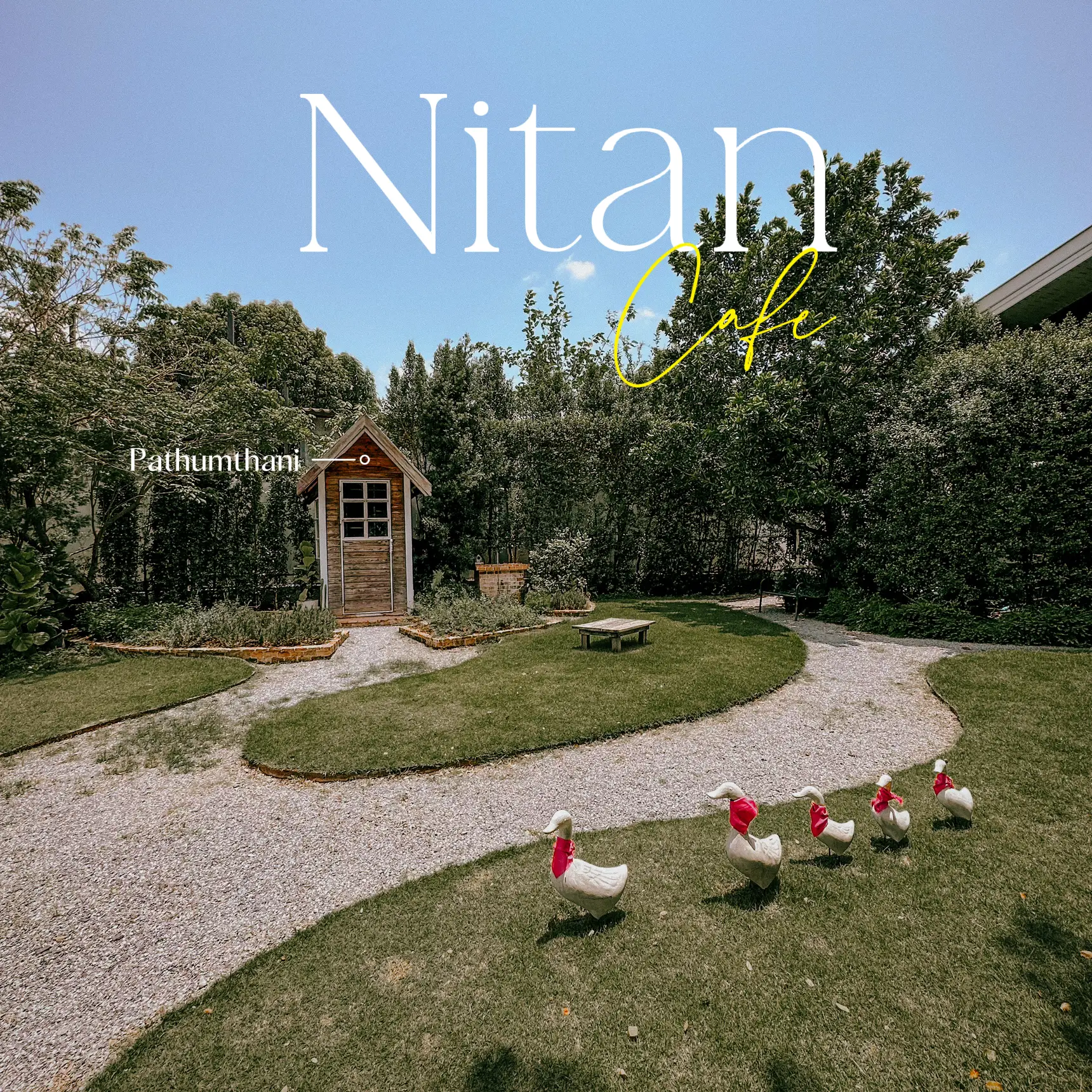 🧚🏻 Nitan Cafe & Garden คาเฟ่สไตล์เทพนิยาย | แกลเลอรีที่โพสต์โดย Passion ...