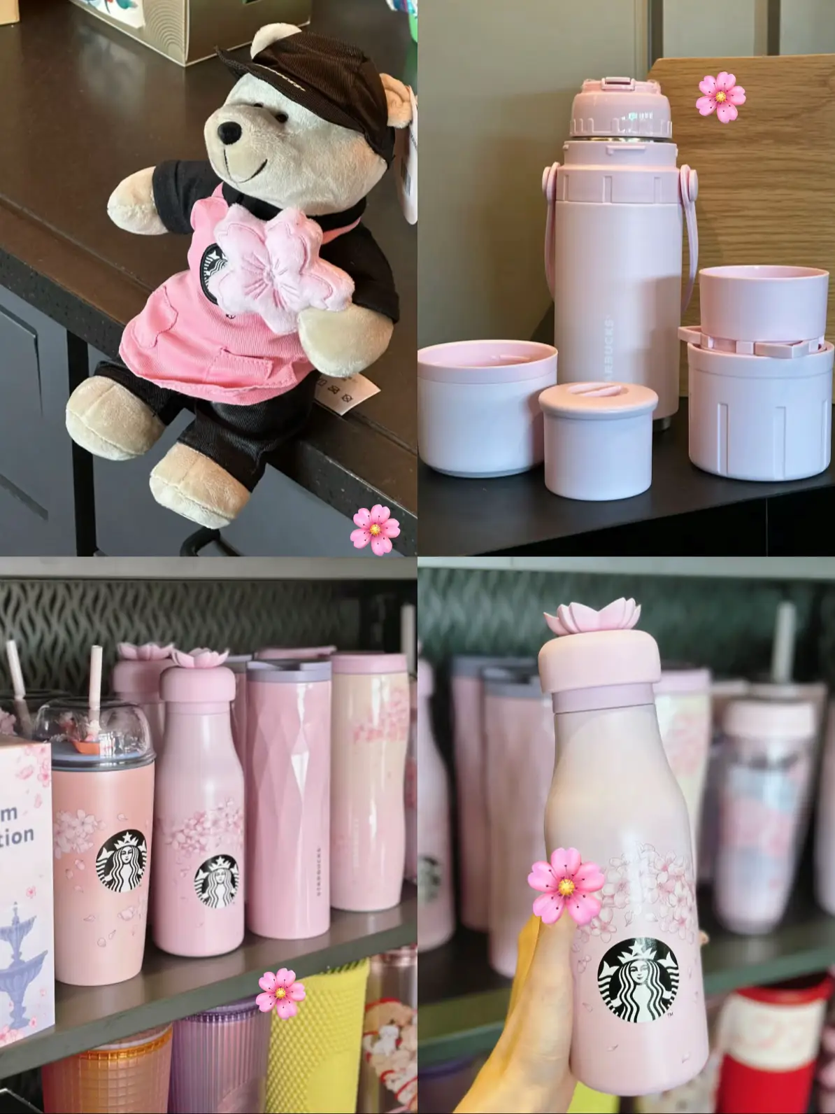 Starbucks Cherry Blossom Collection 24🌸 | แกลเลอรีที่โพสต์โดย 𝗔𝗣𝗣𝗟𝗘 𝗞𝗧 ...