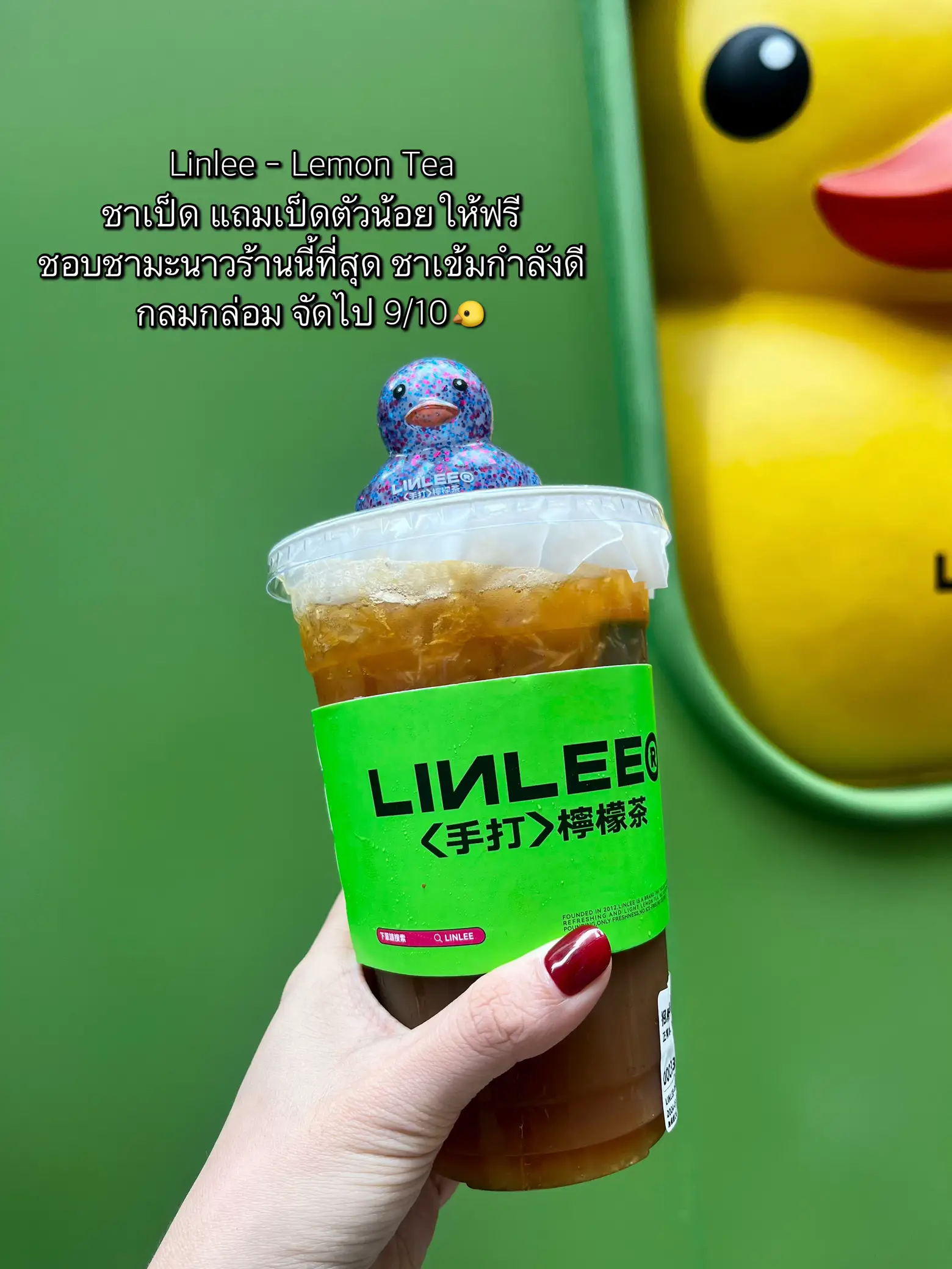 คนฮ่องกงชอบกินชามะนาว🍋 | แกลเลอรีที่โพสต์โดย Winwunnwai | Lemon8