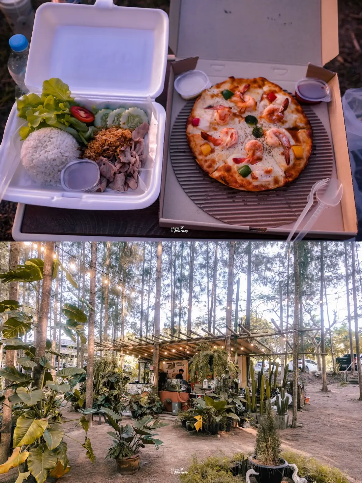 Phupha Coffee Camp คาเฟ่และที่กางเต็นท์วิวหลักล้าน⛺️🌲🌅 | แกลเลอรีที่โพสต์โดย หนีนายไปJourney ...