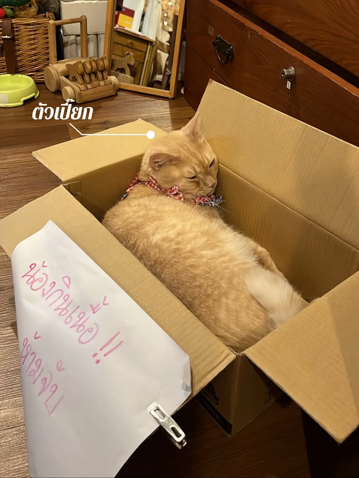 2 ร้านลับบางแสน ราคาเป็นมิตรสุดสุด | แกลเลอรีที่โพสต์โดย Orakarn. | Lemon8