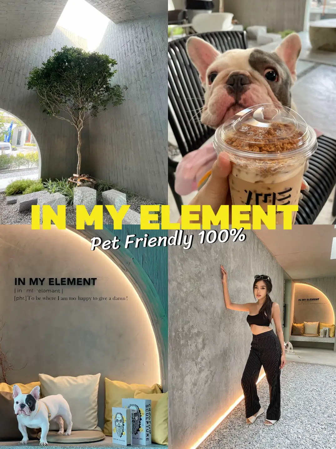 IN MY ELEMENT Cafe Pet Friendly100% หมาเข้าโซนแอร์ได้ | แกลเลอรีที่โพสต์โดย Deardear 🐰 | Lemon8