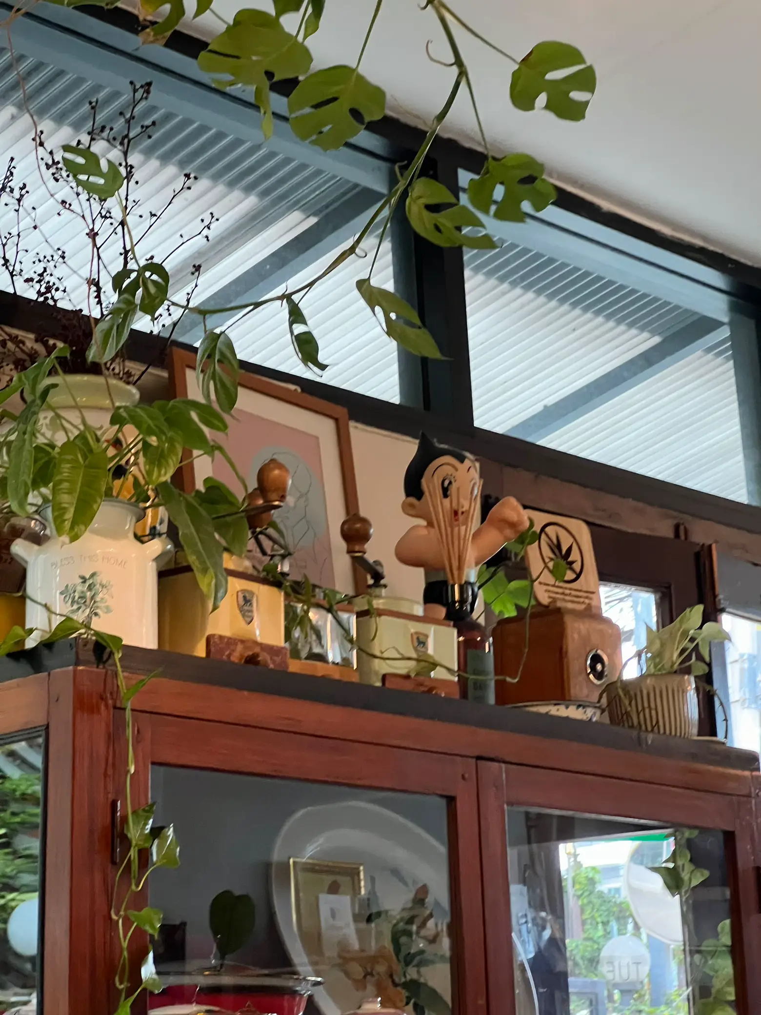 Chalamx - การค้นหาใน Lemon8