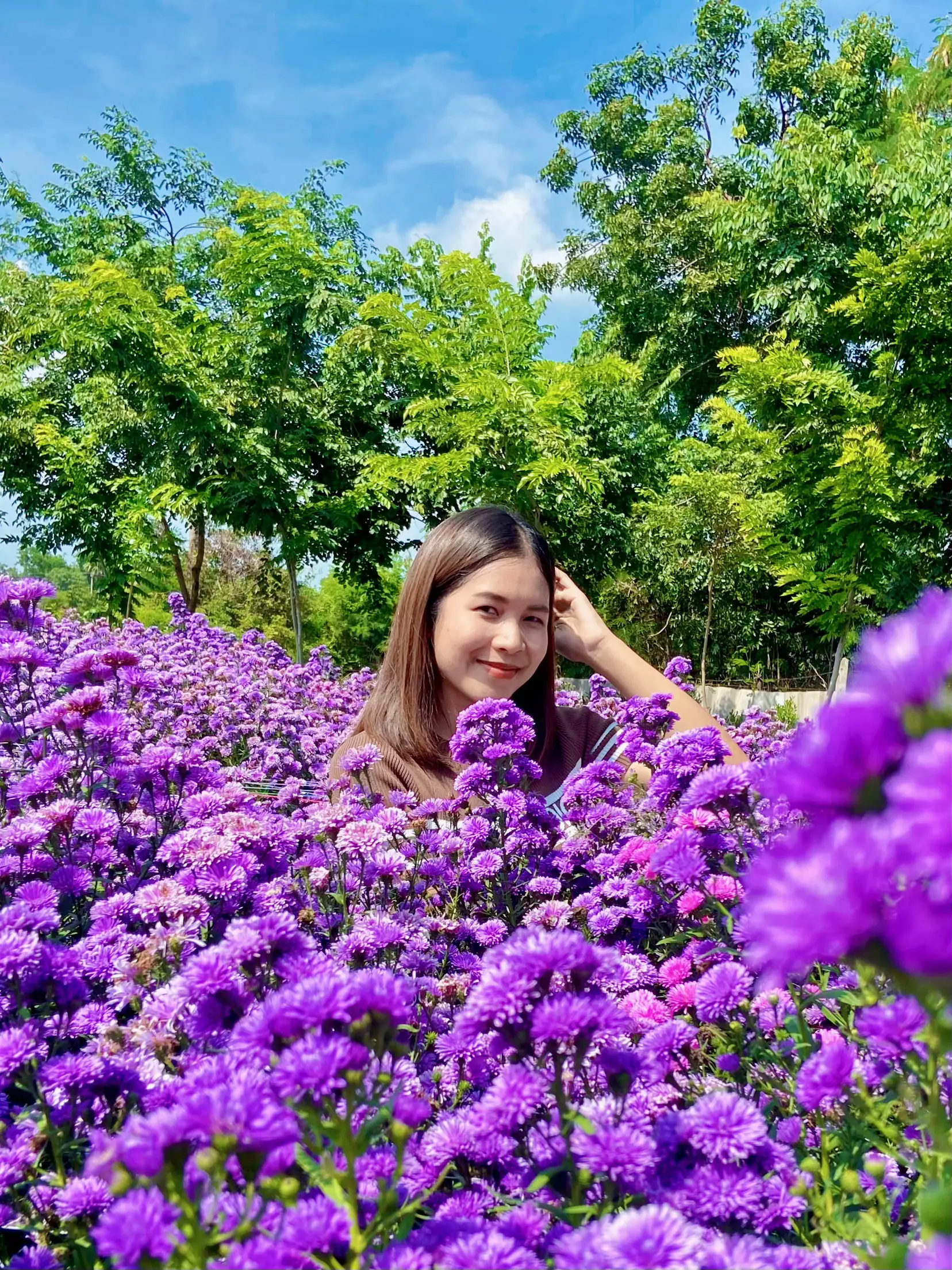 DD Flower Farm | แกลเลอรีที่โพสต์โดย 𝐓𝐡𝐢𝐜𝐡𝐚 •ᴥ• | Lemon8