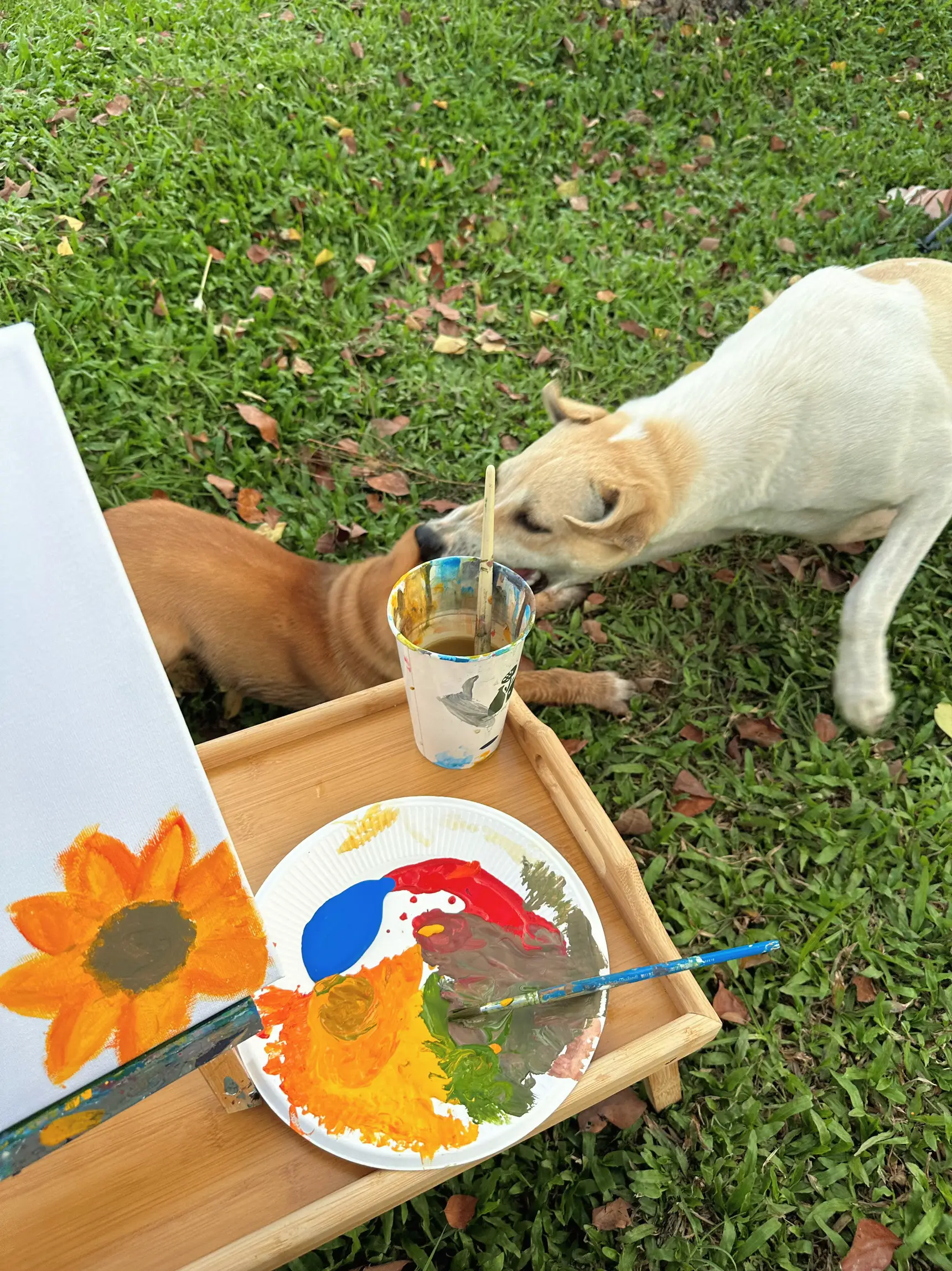 Dating my self @Dokmai Pratoo Jaekan 🤍 | แกลเลอรีที่โพสต์โดย มย is happy 🌻 | Lemon8