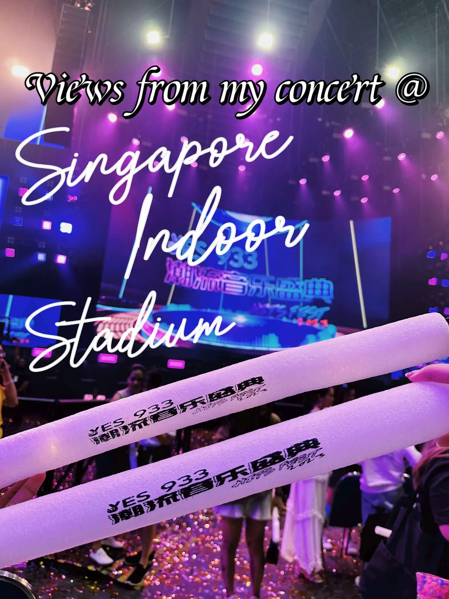 Singapore Indoor Stadium View - Lemon8 Search