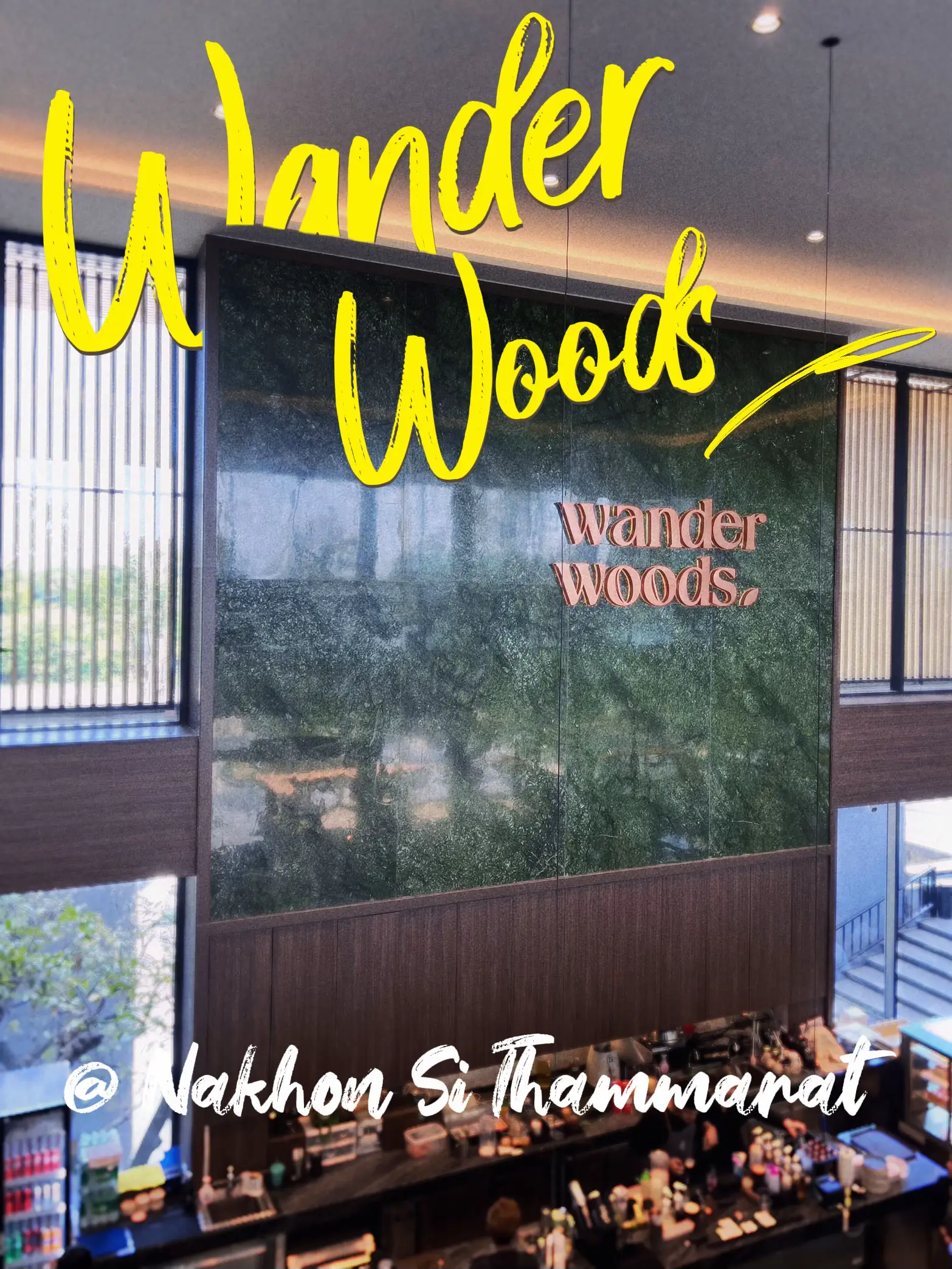 Wander Woods คาเฟ่เปิดใหม่ใหญ่อลังการ อาหารก็ปัง ขนมก็เริ่ด | แกลเลอรี ...