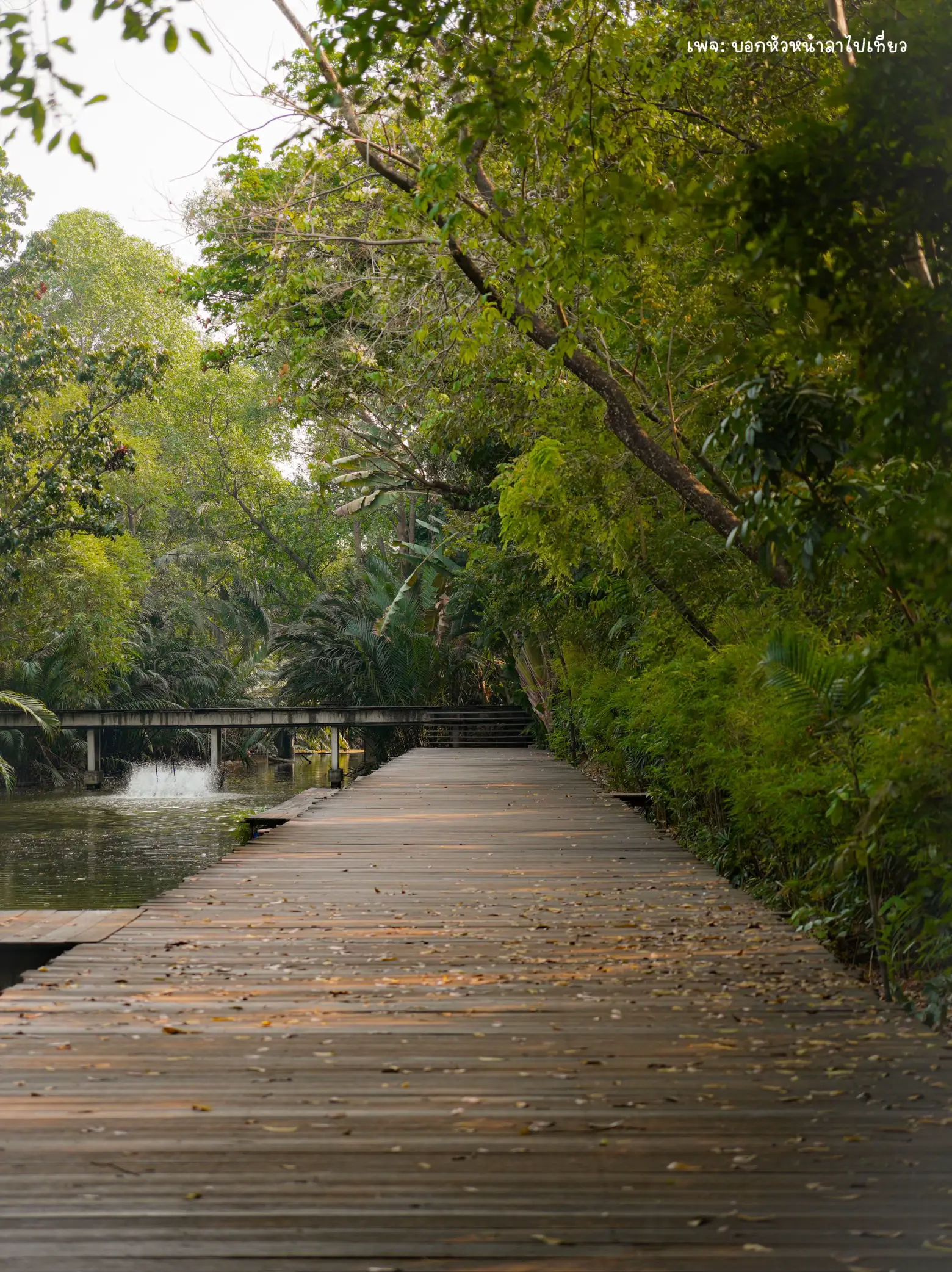 Little Tree Grocery 🥞☕ | แกลเลอรีที่โพสต์โดย บอกหัวหน้าลาไปเที่ยว | Lemon8