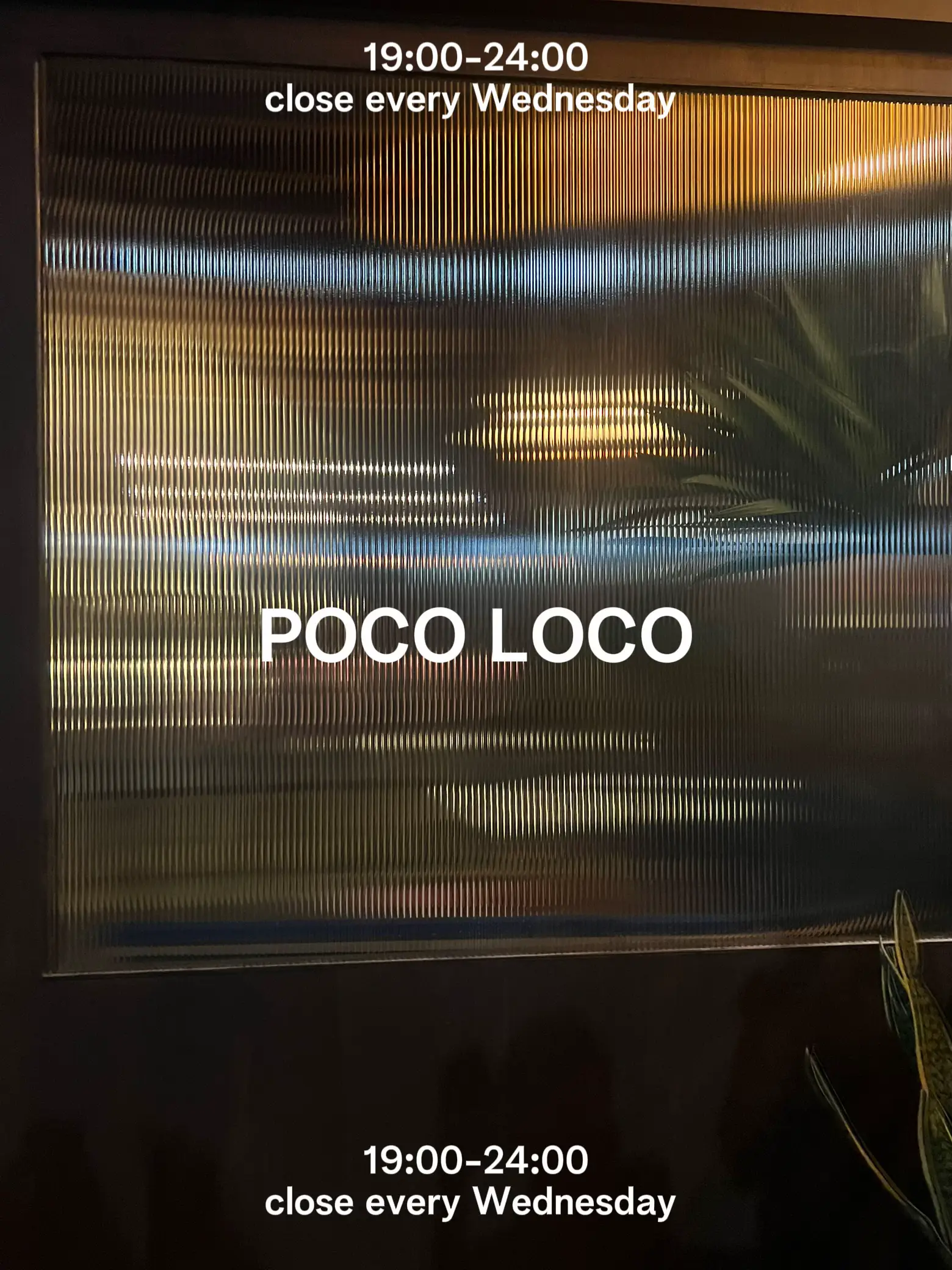 Poco loco บาร์(เกือบจะลับ)ในหาดใหญ่ 🍸🍹🥃 | แกลเลอรีที่โพสต์โดย preammier | Lemon8