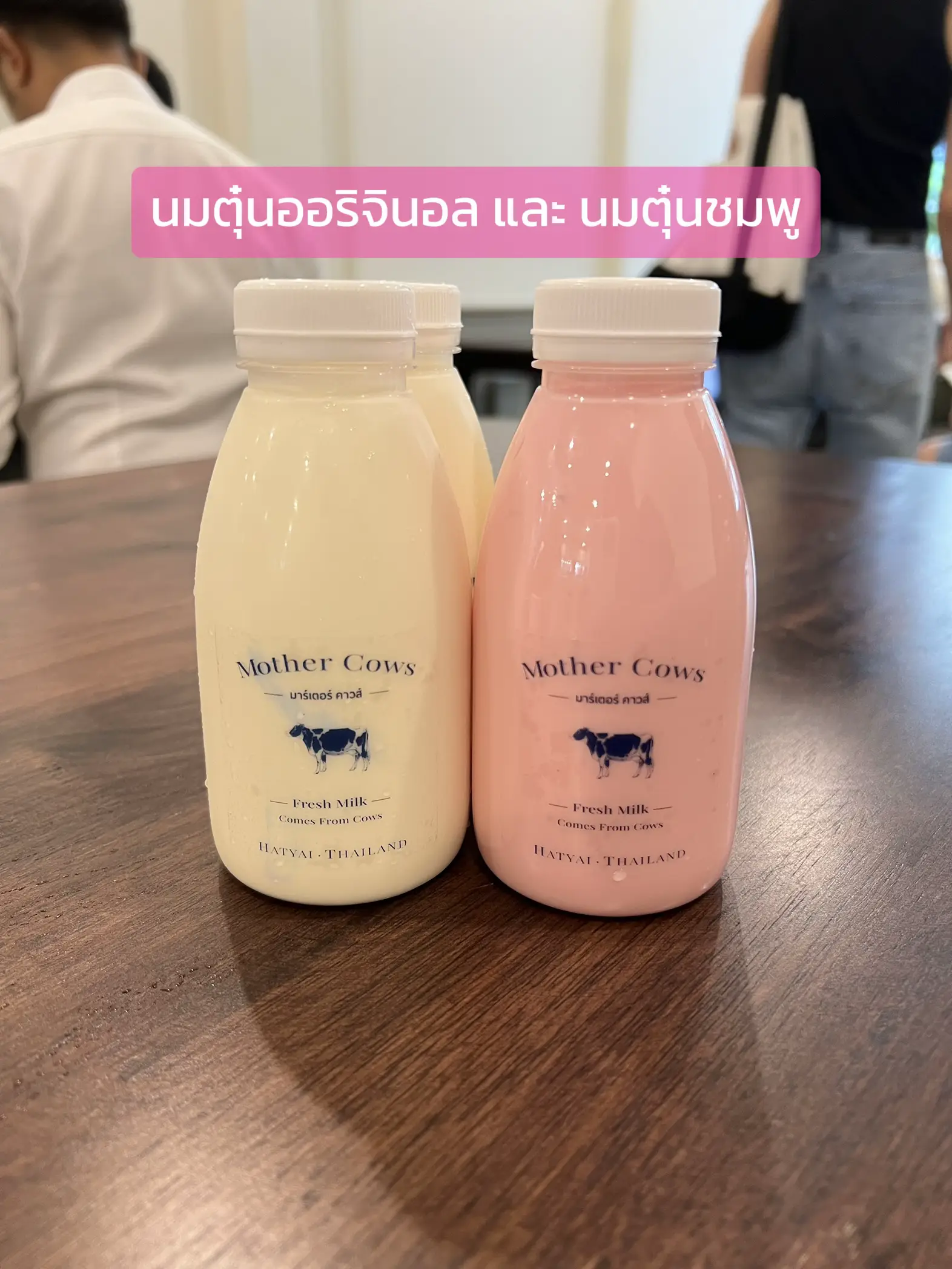 Mother Cows บรรทัดทอง🐄 | แกลเลอรีที่โพสต์โดย UNUN | Lemon8