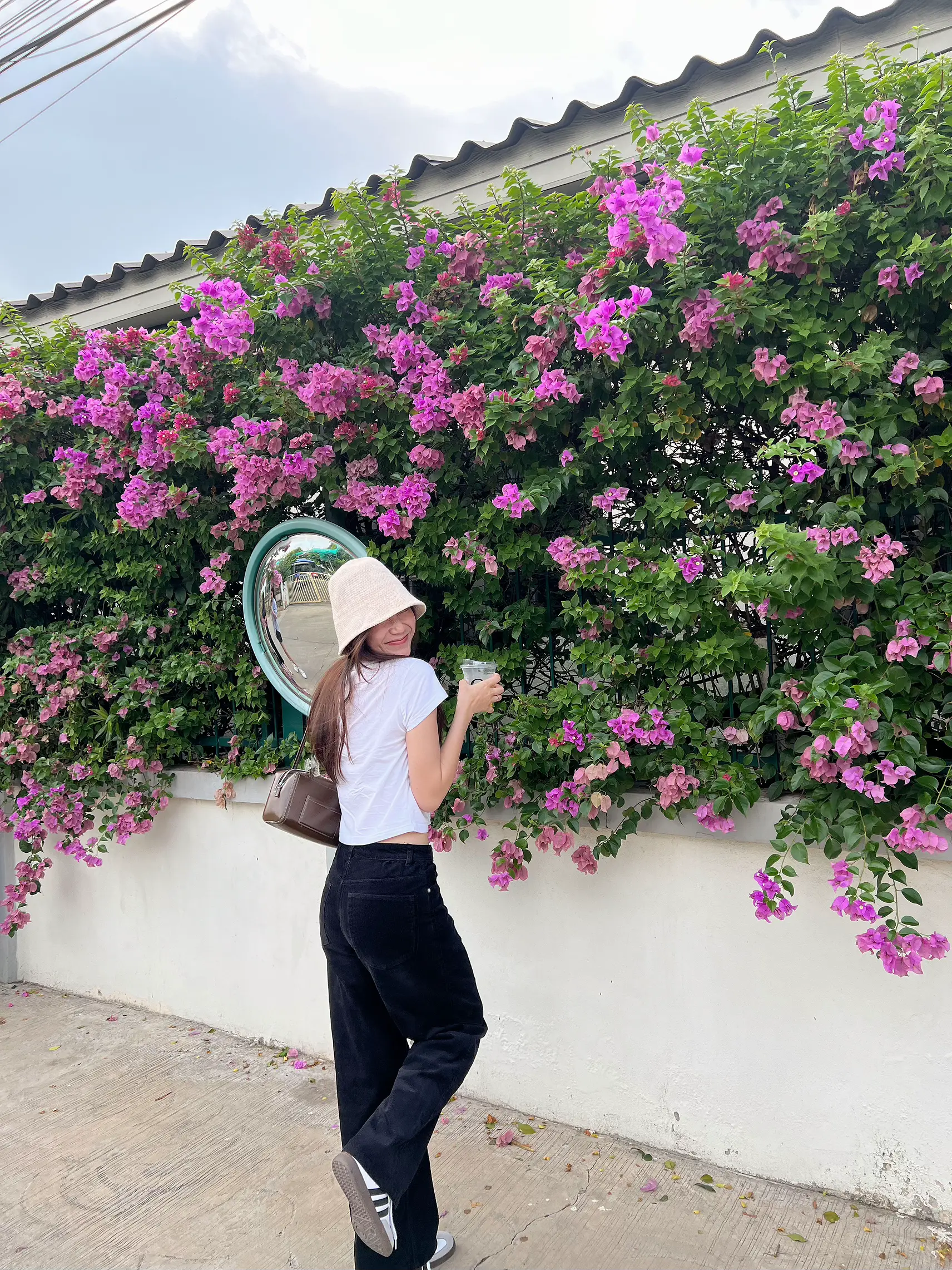 Summer mood ถ่ายรูปกับดอกเฟื่องฟ้า 🐽💐💓 | แกลเลอรีที่โพสต์โดย Tiwa | Lemon8